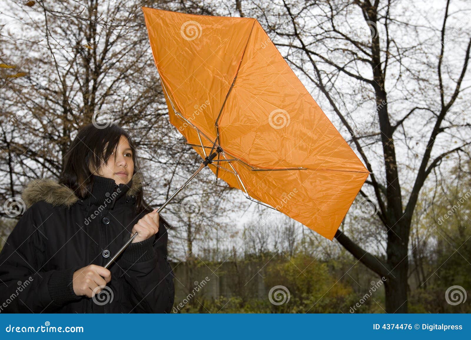 Rain weather stock photo. Image of colours, windy, humid - 4374476