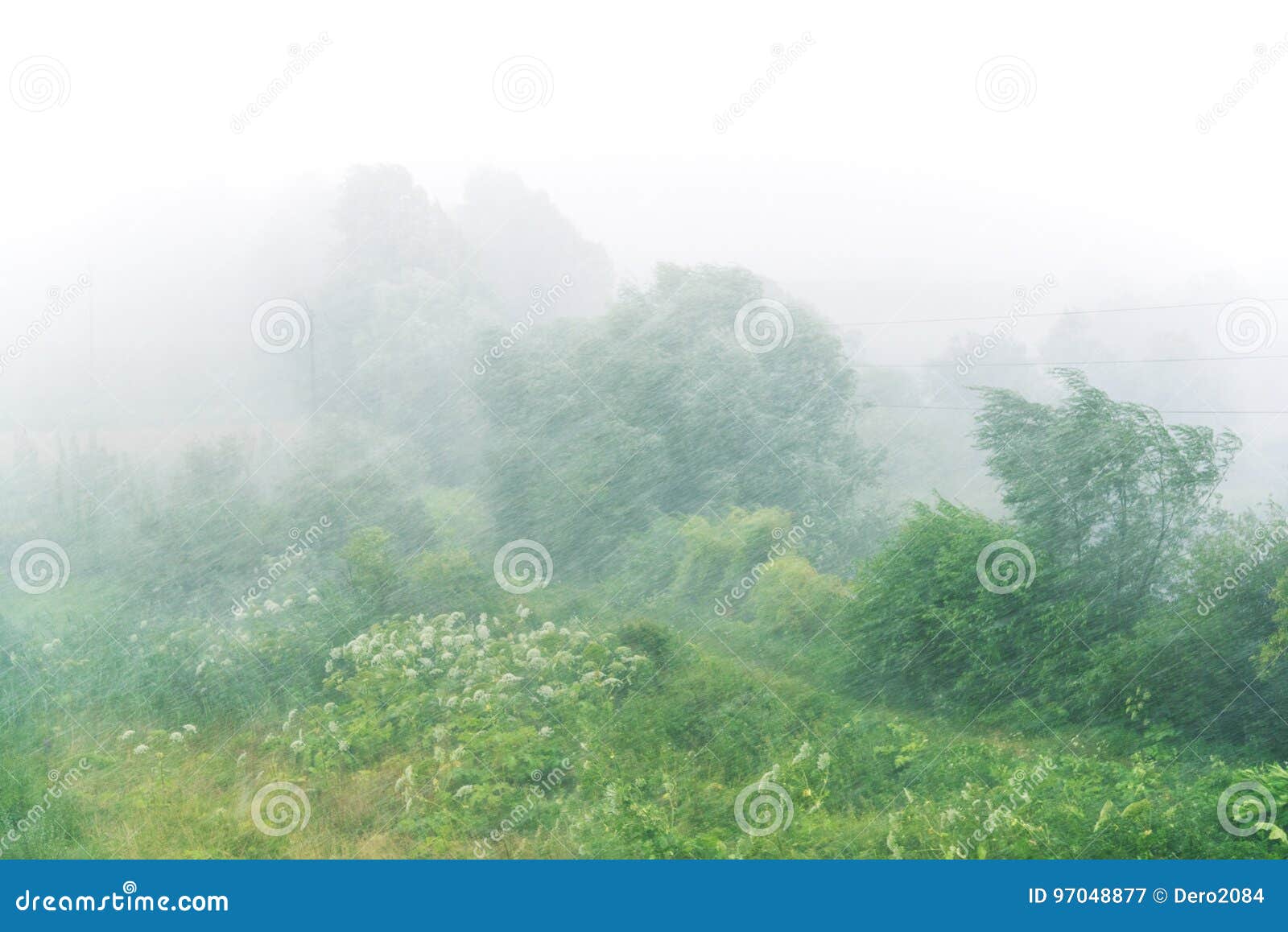 Rain and Wind Outside, Bad Weather, Storm Stock Image - Image of misty ...