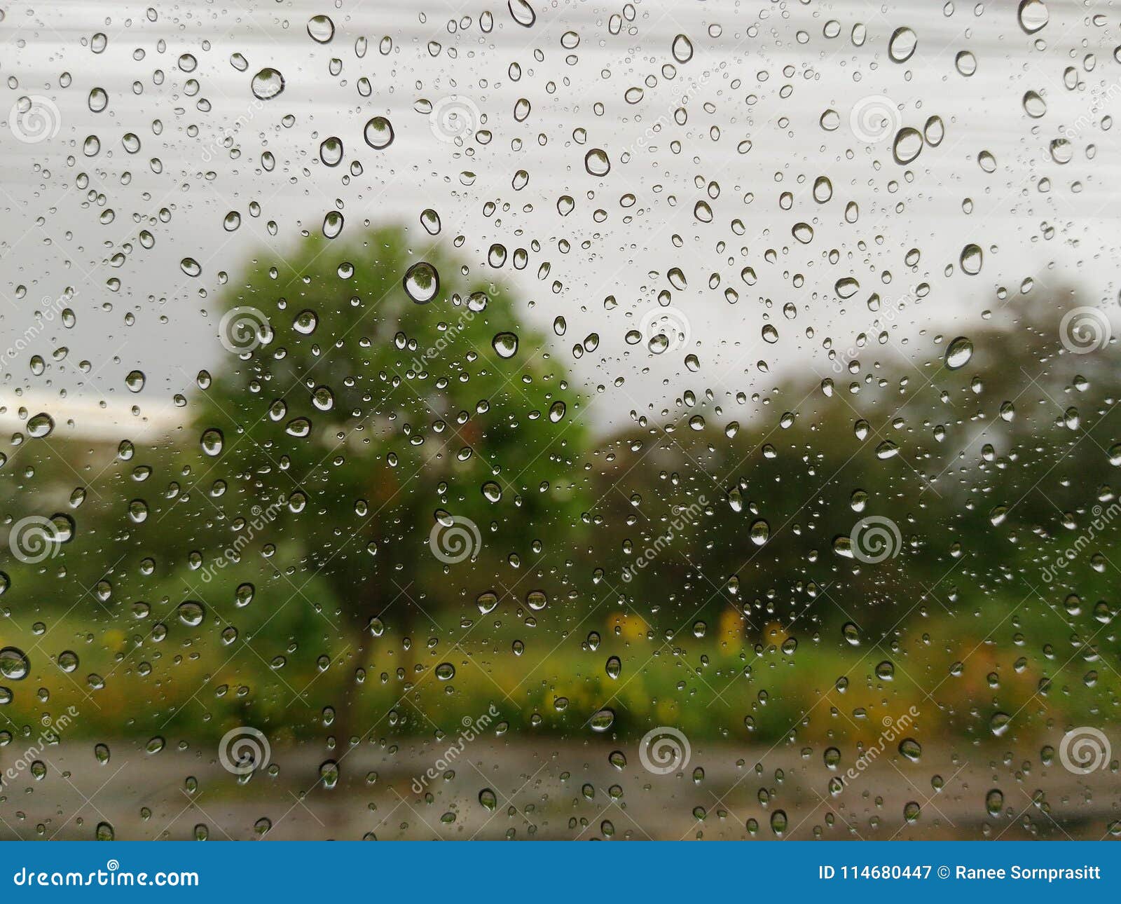 Rain at the Window the View Outside the Window Stock Image - Image of ...
