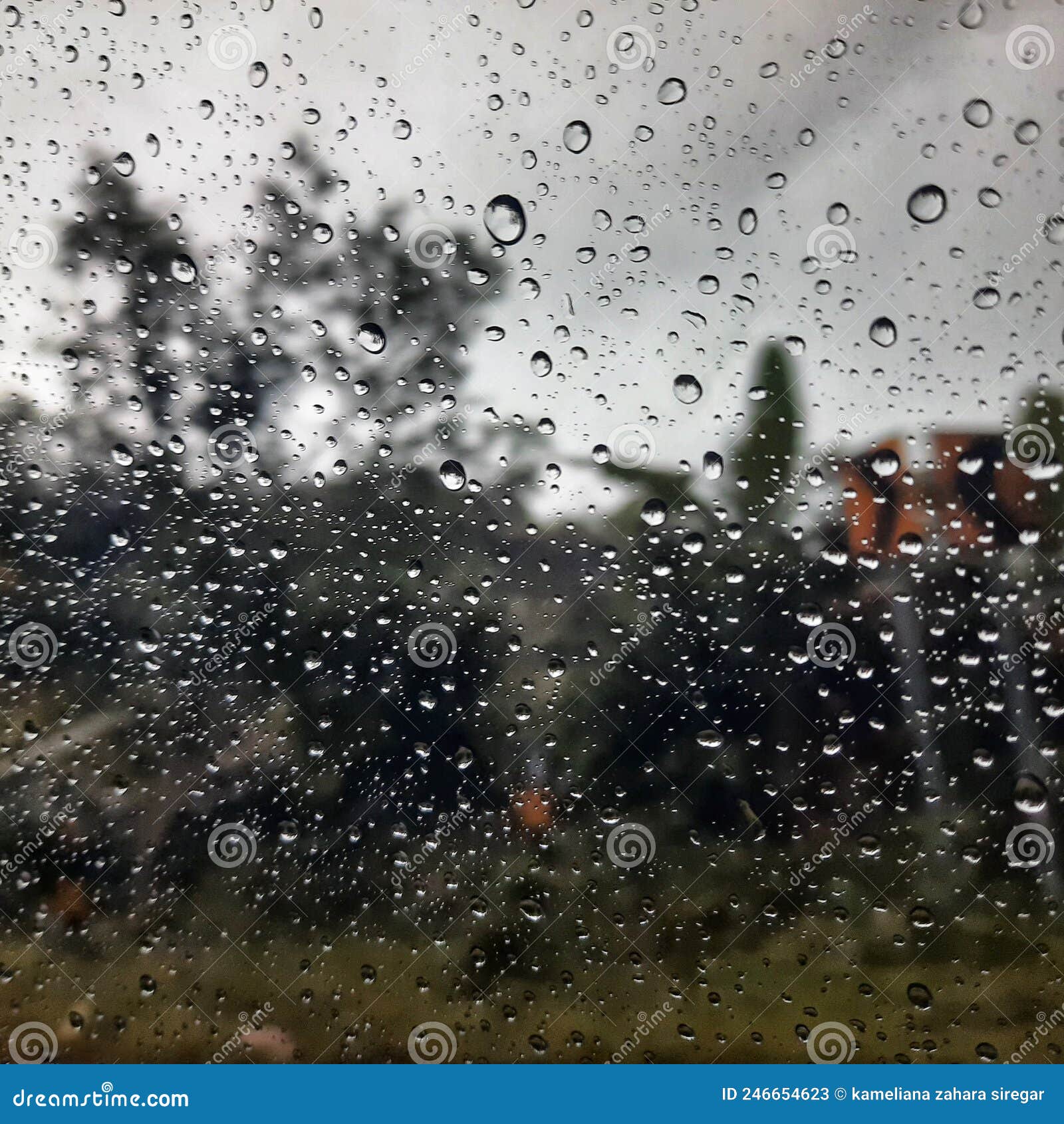 Rain in the windows stock image. Image of afternoon - 246654623