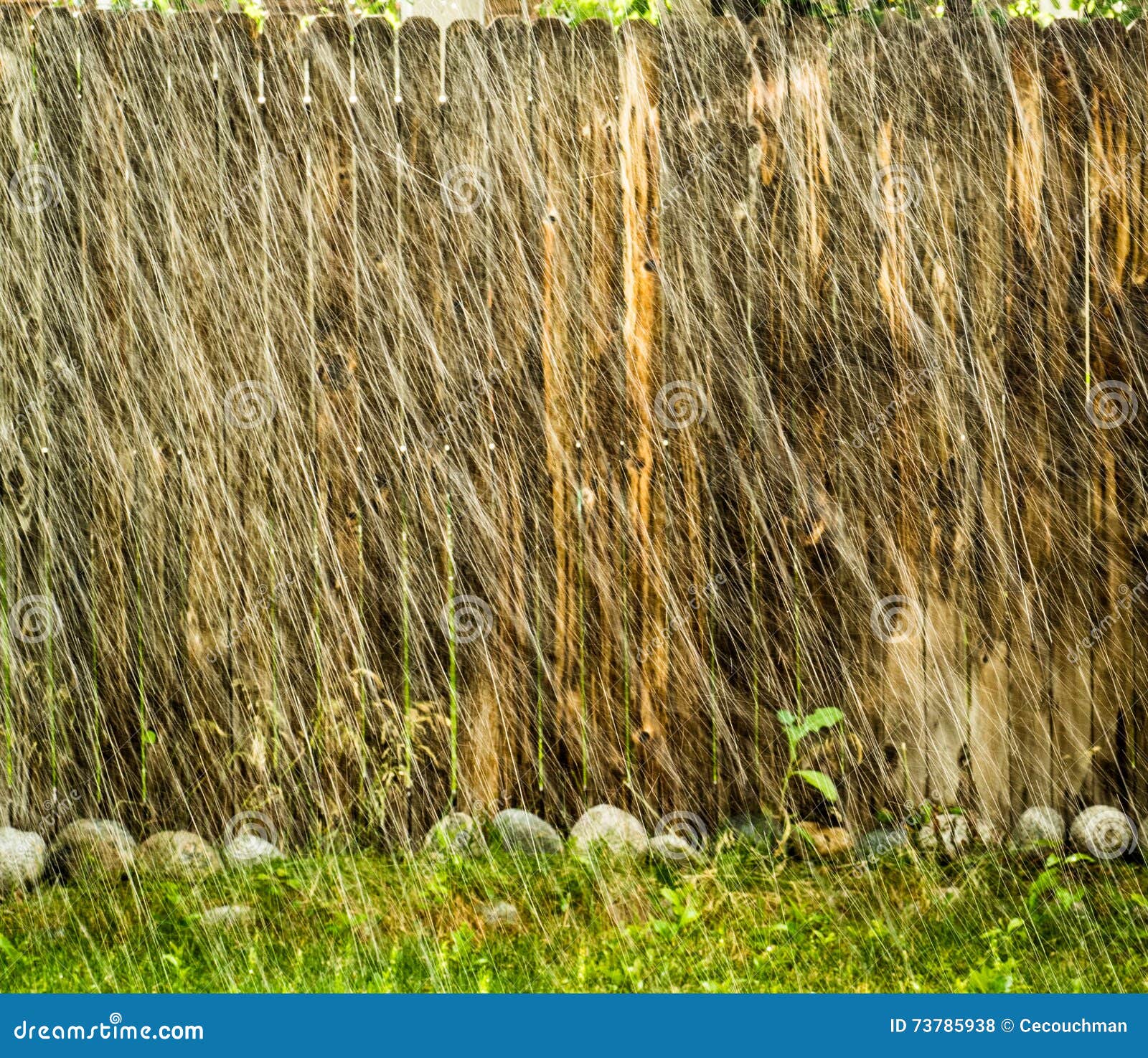 Rain and Wooden Fence stock photo. Image of streaks, pouring - 73785938