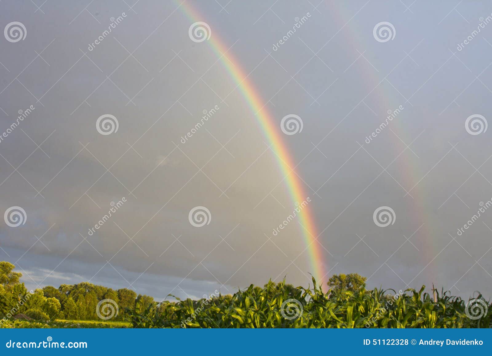Rainbow stock photo. Image of plants, plantation, physics - 51122328