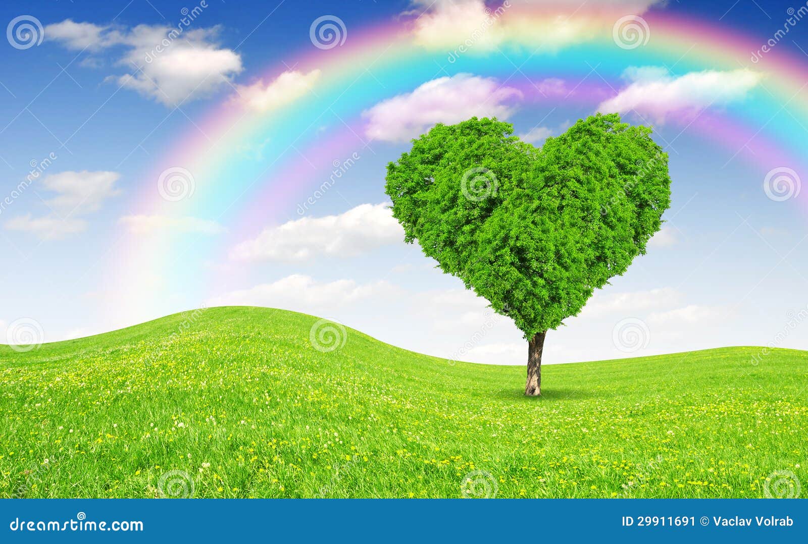 Tree in the shape of heart stock image. Image of plant - 29911691