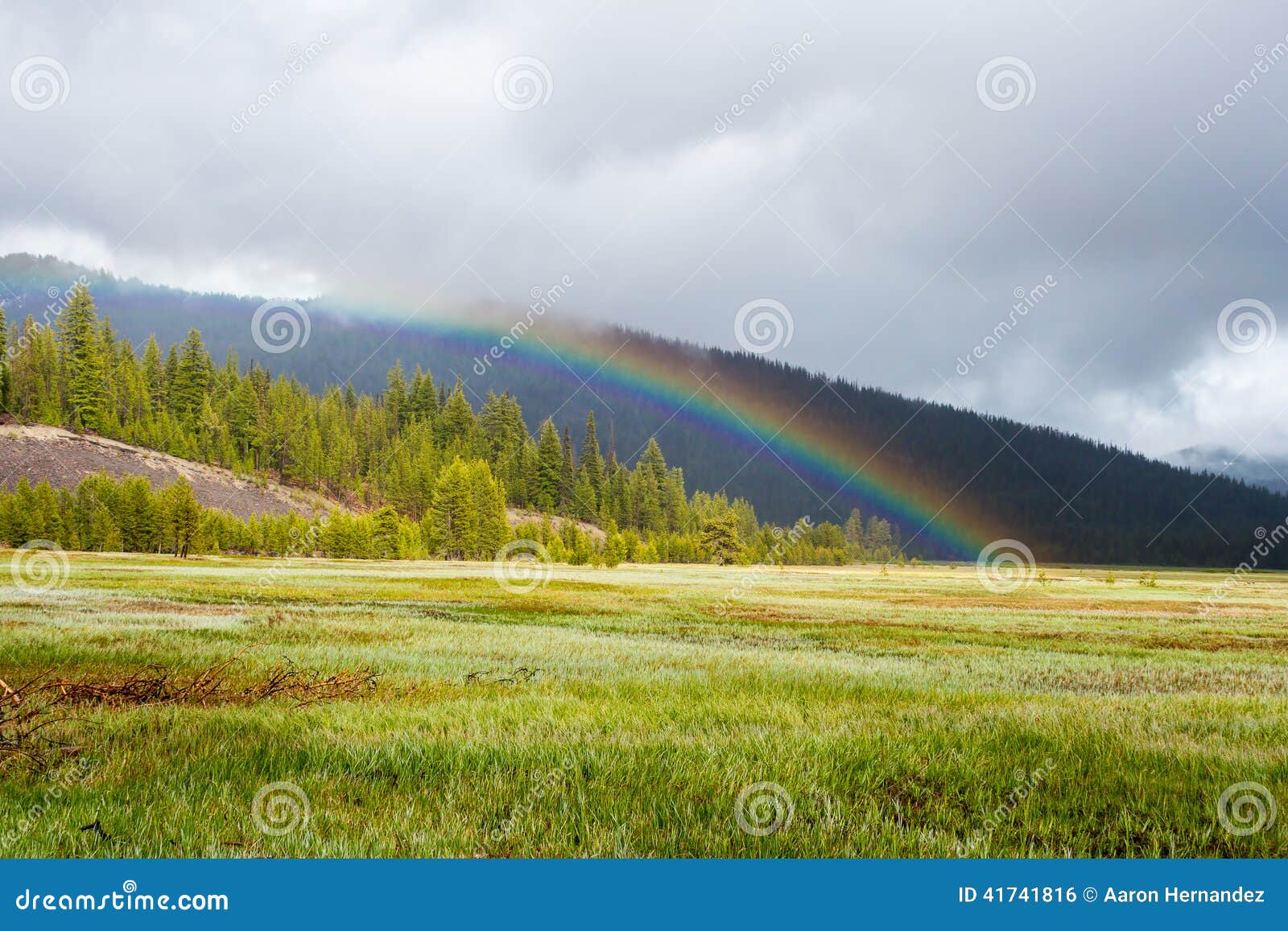 Rainbow Adds Color To Meadows and Forest Stock Photo - Image of scenic ...