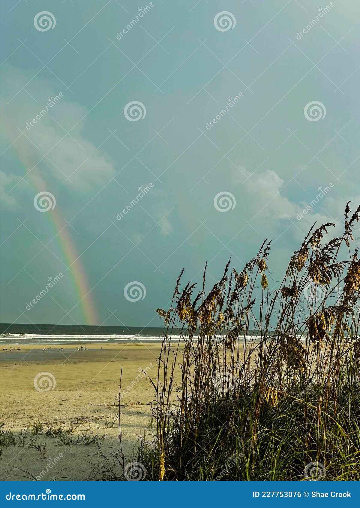 His Promises stock photo. Image of water, promises, beachlife - 227753076