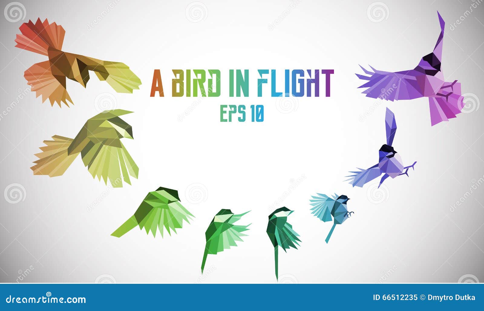 Rainbow And Bird Cartoon Vector | CartoonDealer.com #13757321