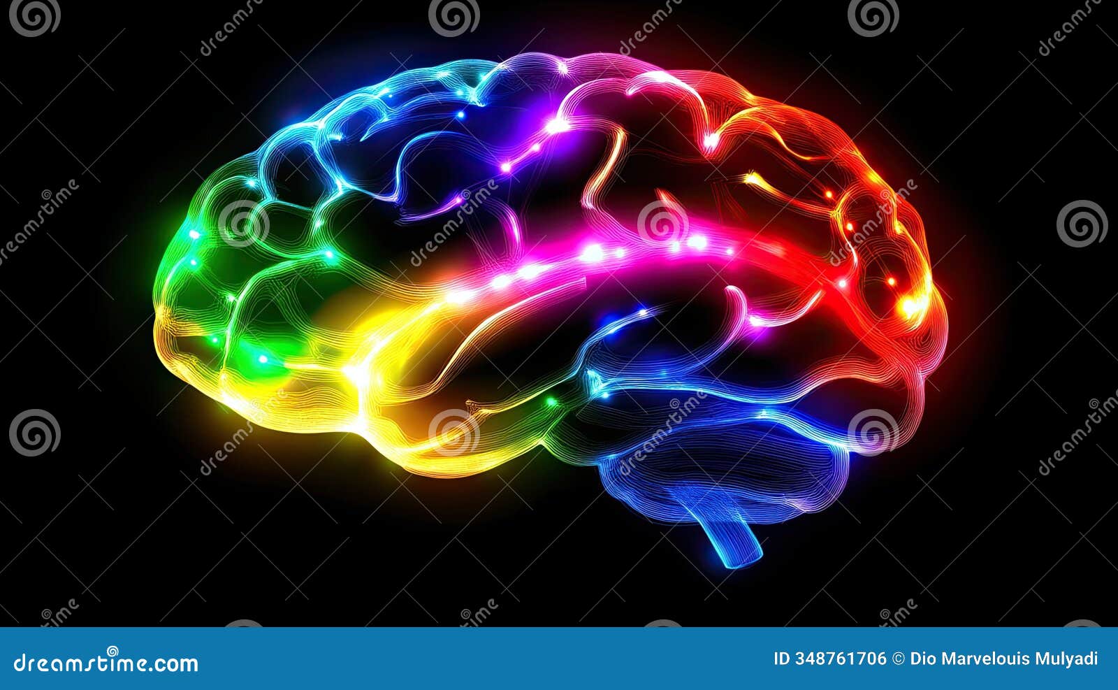 Rainbow Brain, Human Brain, Neurology, Colorful Brain Stock Photo ...
