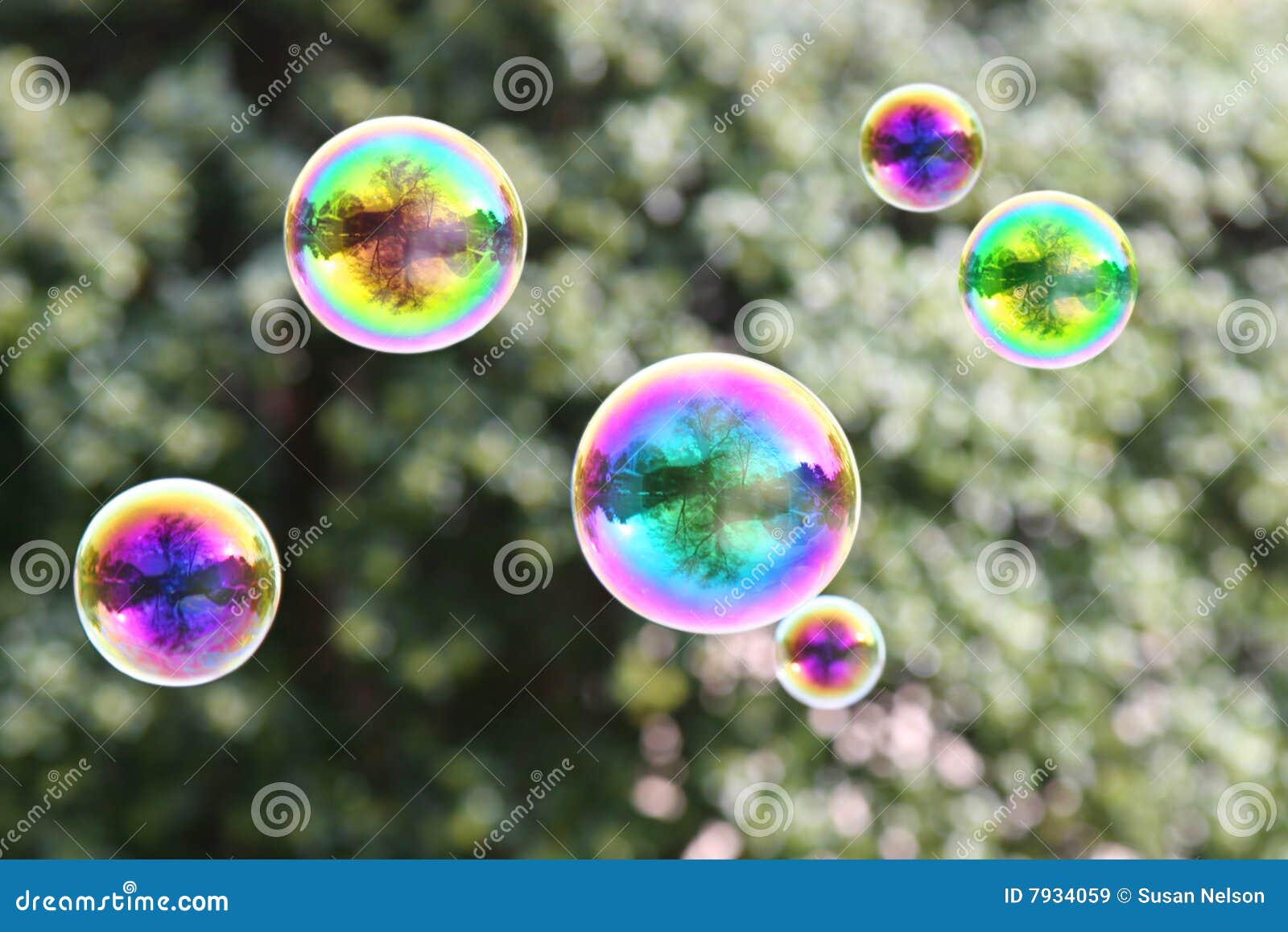 Rainbow Bubbles stock image. Image of soap, round, texture - 7934059