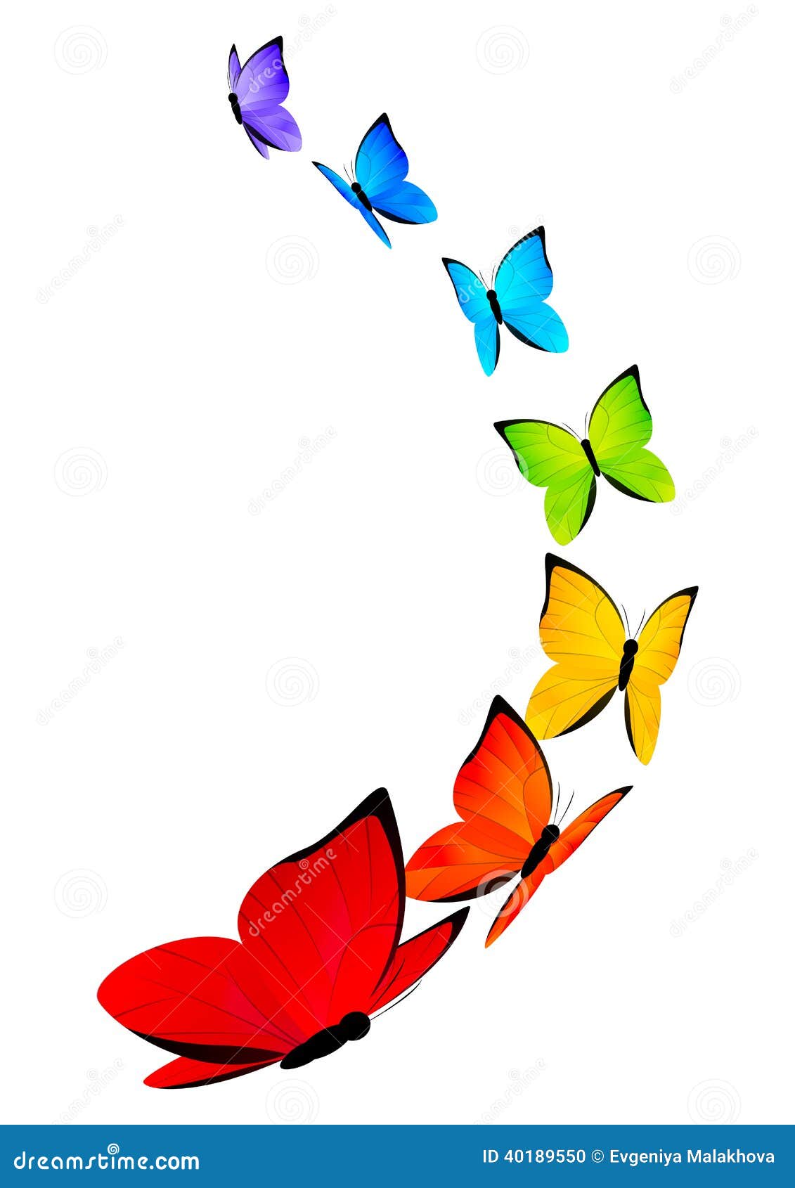 Rainbow Butterflies Vector Illustration | CartoonDealer.com #10716464
