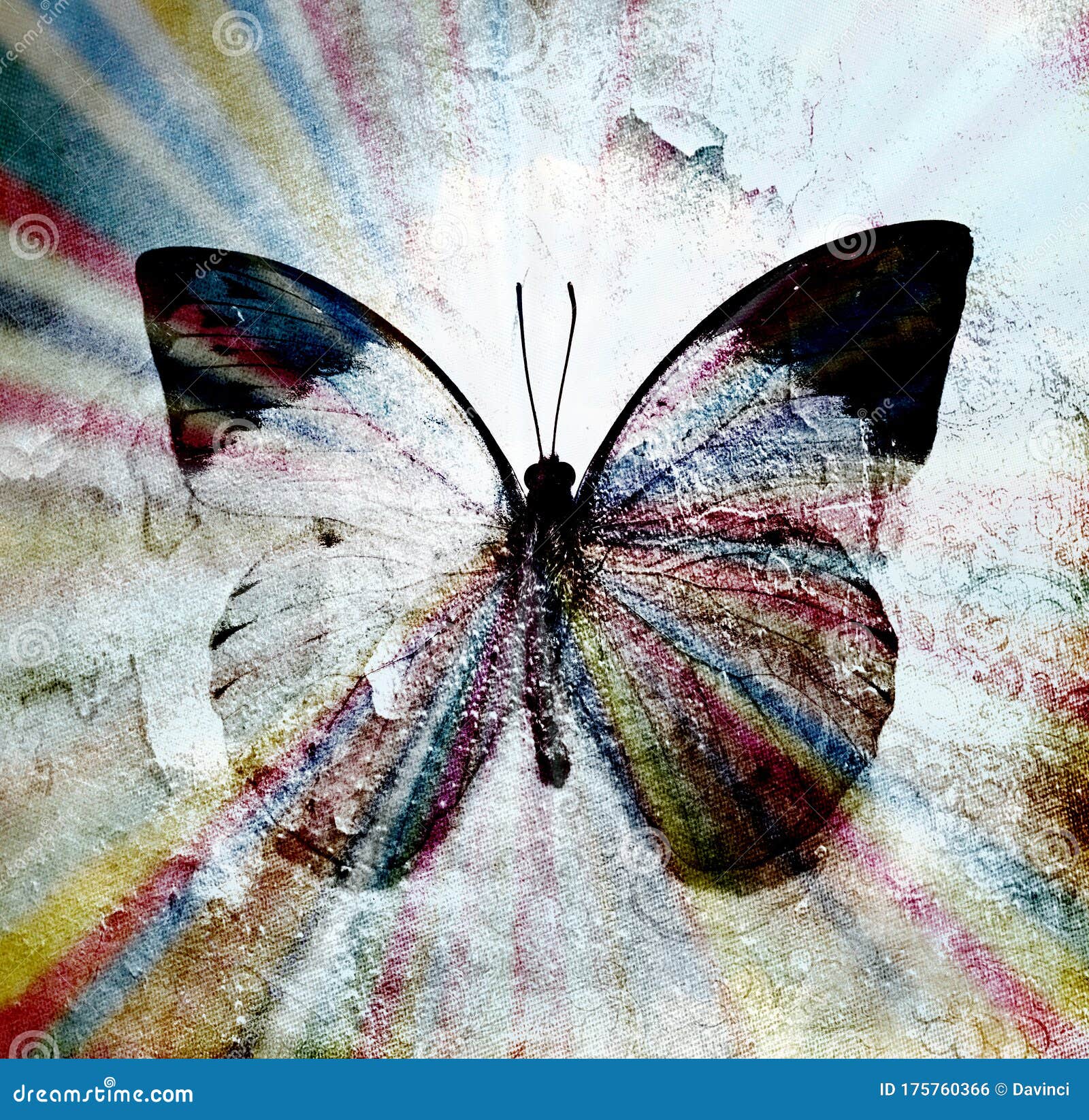 Rainbow butterfly abstract stock illustration. Illustration of lgbtq ...