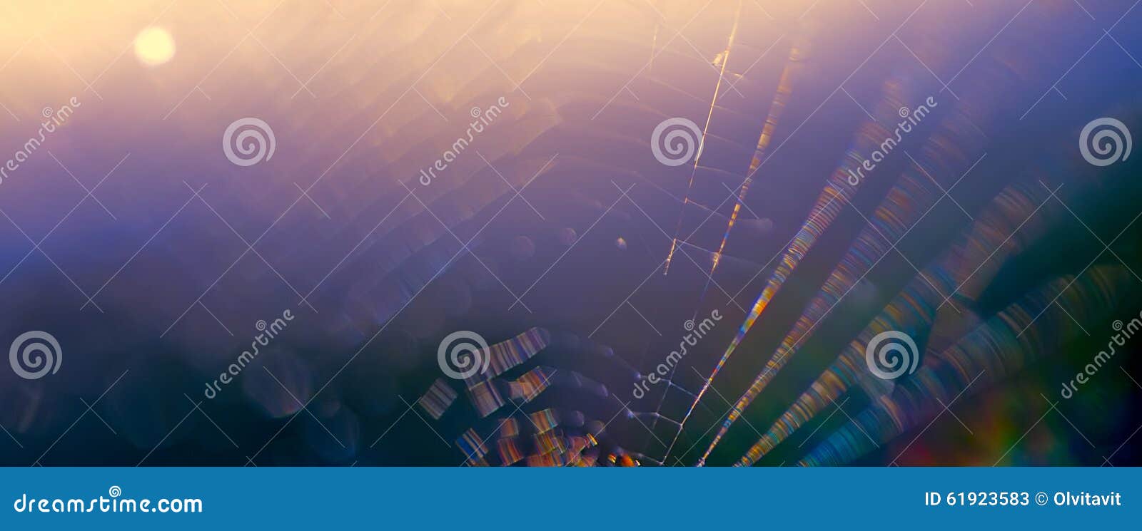 Rainbow Cobweb Colorful Autumn Abstract Stock Image - Image of abstract ...