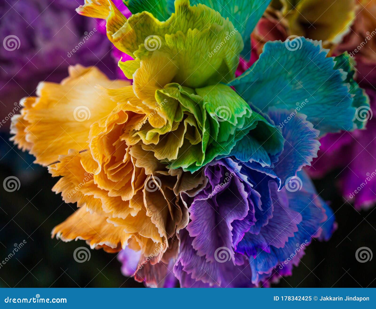 How To Make Rainbow Carnations