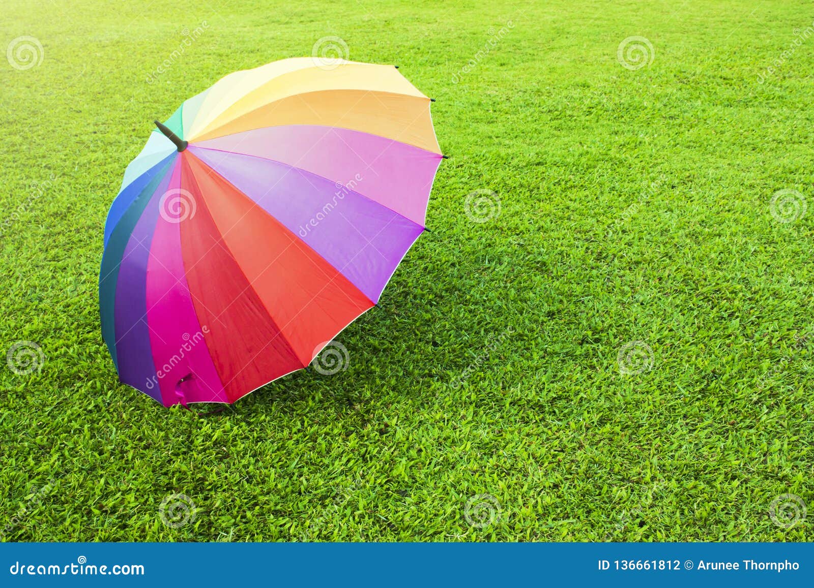 Rainbow Color Umbrella on Green Grass Stock Photo - Image of lawn ...