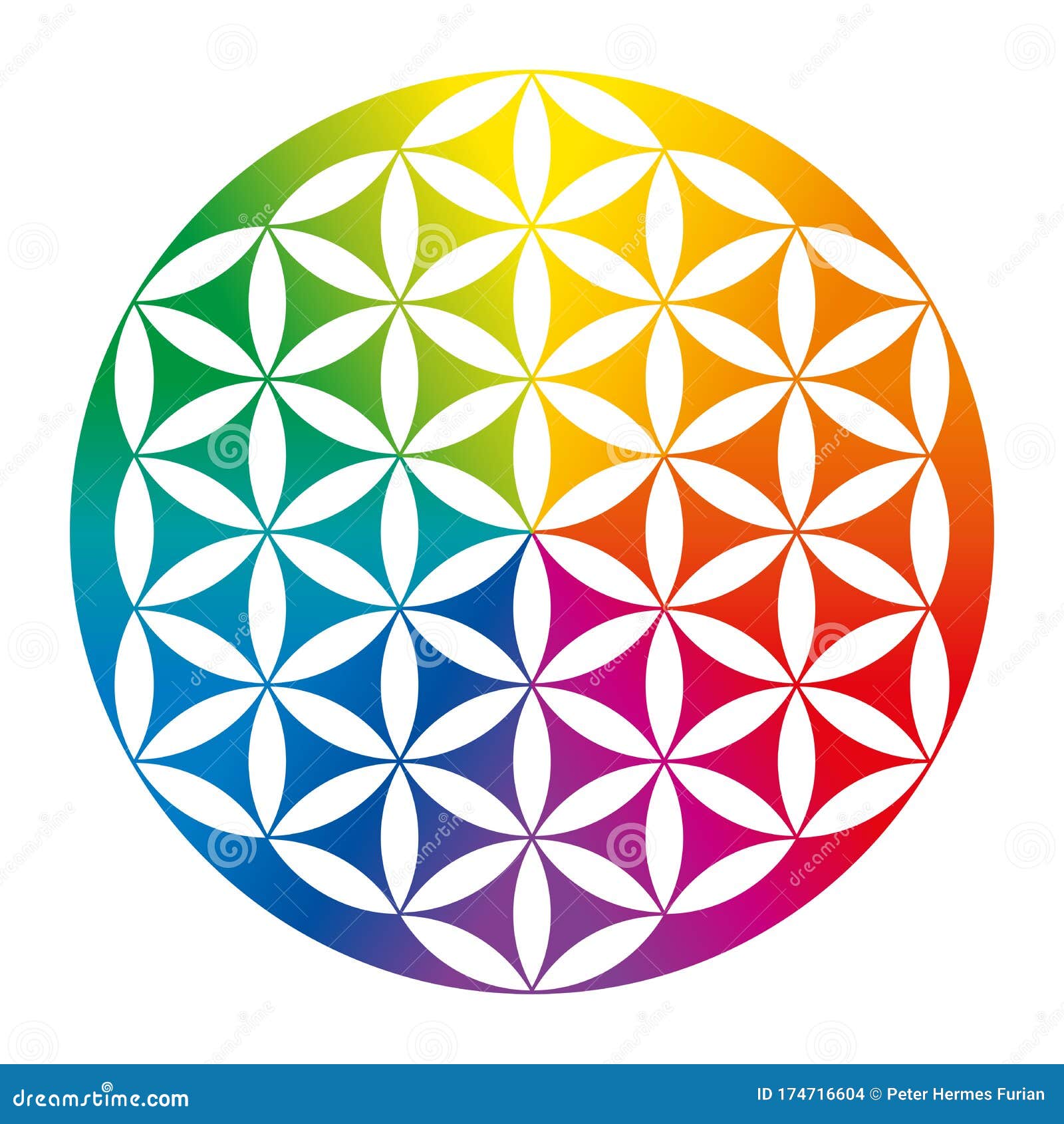 Rainbow Colored Inverted Flower of Life Over White Stock Vector ...