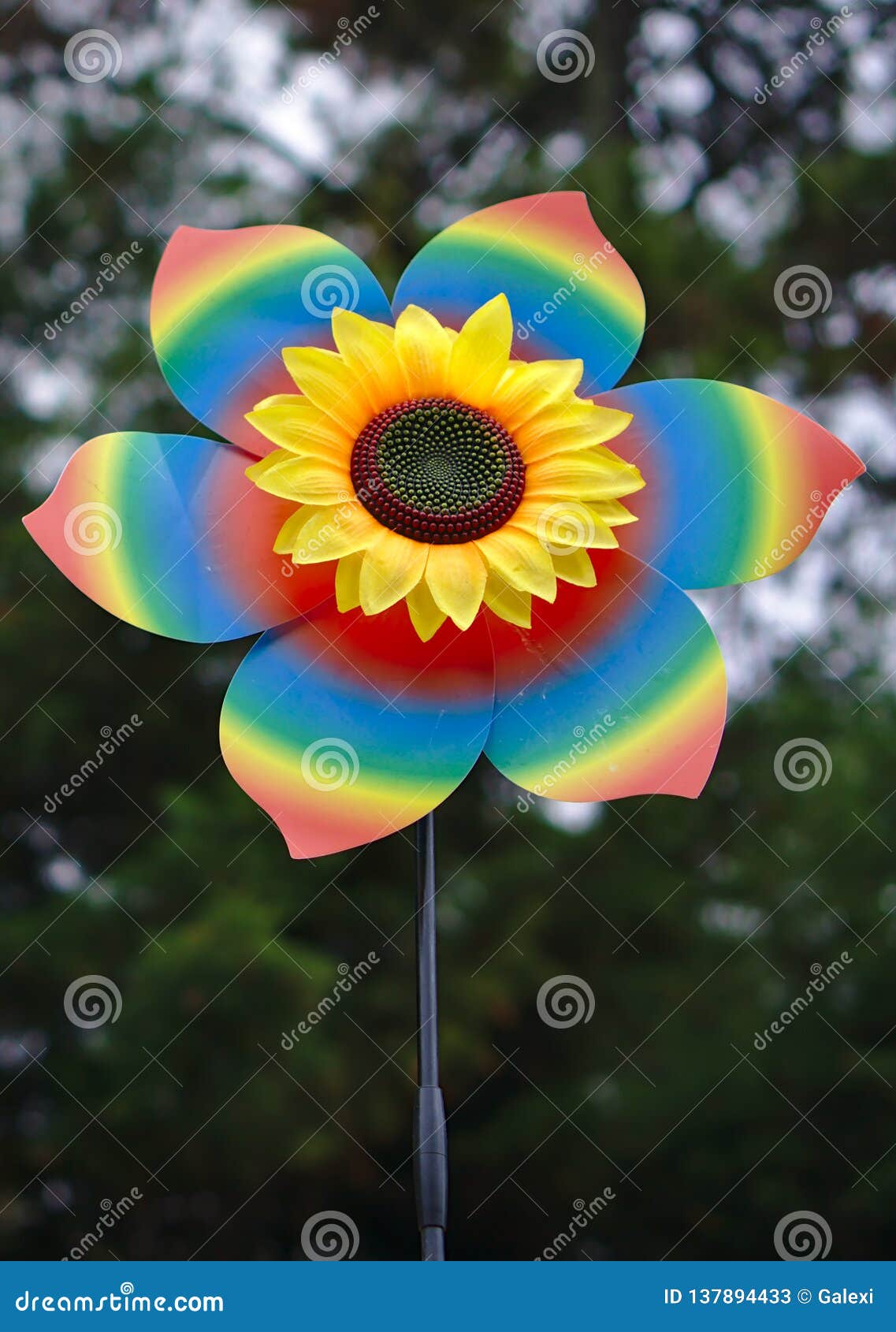 Rainbow colored pinwheel stock image. Image of wooden - 137894433