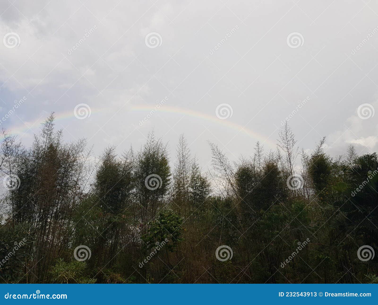 Rainbow come early stock image. Image of rainbow, grass - 232543913