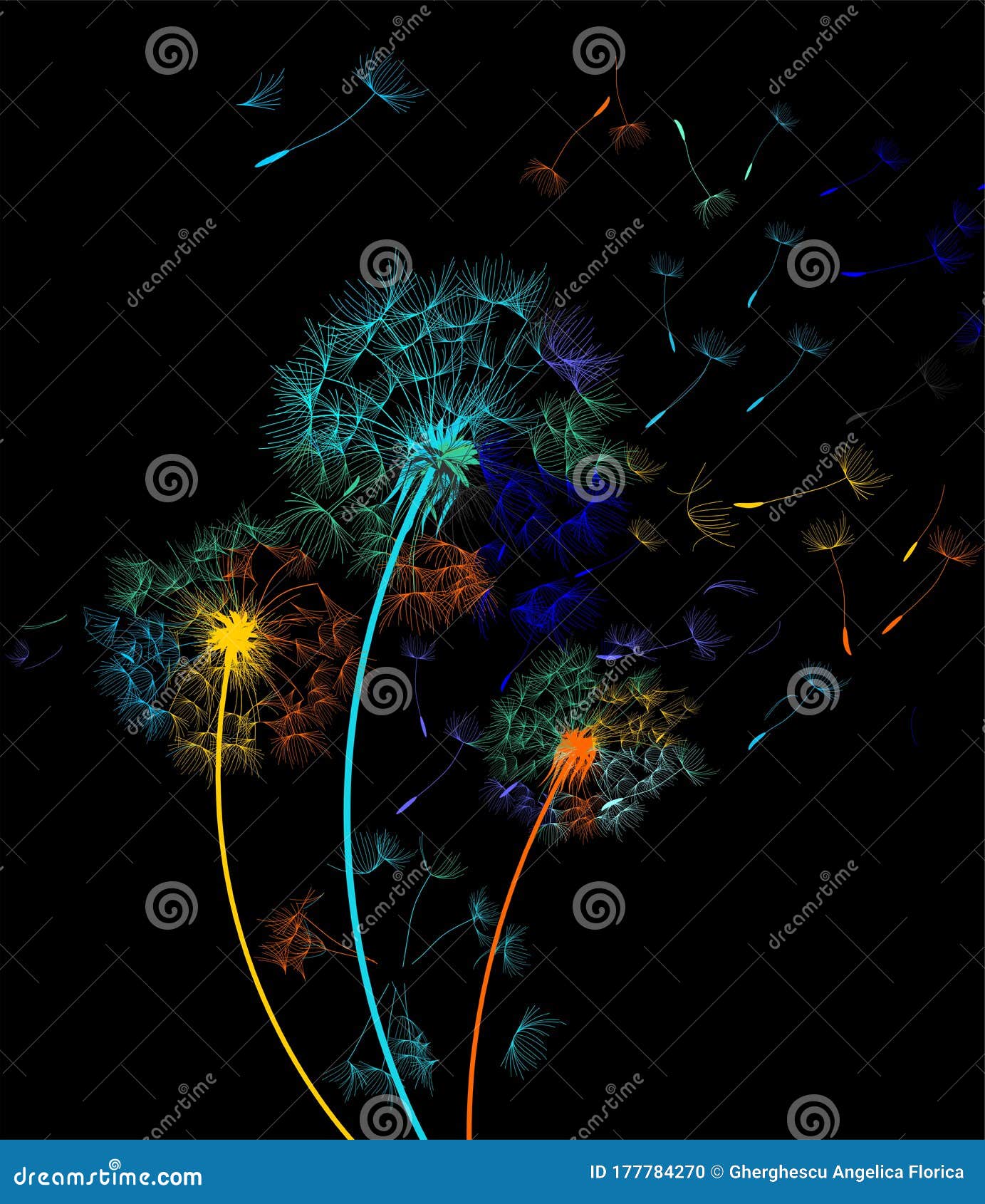Rainbow Dandelions in the Wind on Black Background - Vector. Stock ...