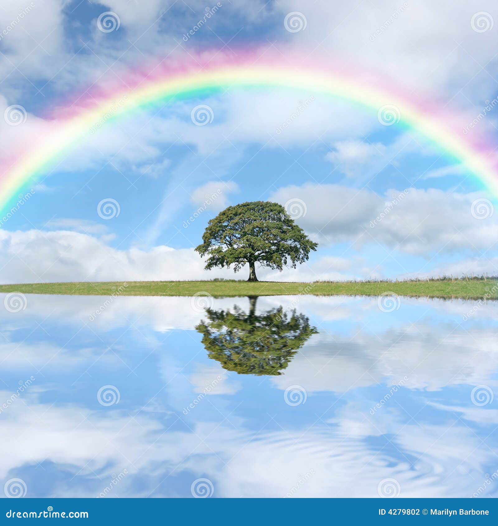 Rainbow Day stock photo. Image of quiet, lumber, horizon - 4279802