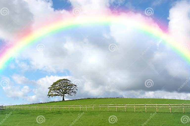 Rainbow Day stock photo. Image of landscape, boundary - 9125728