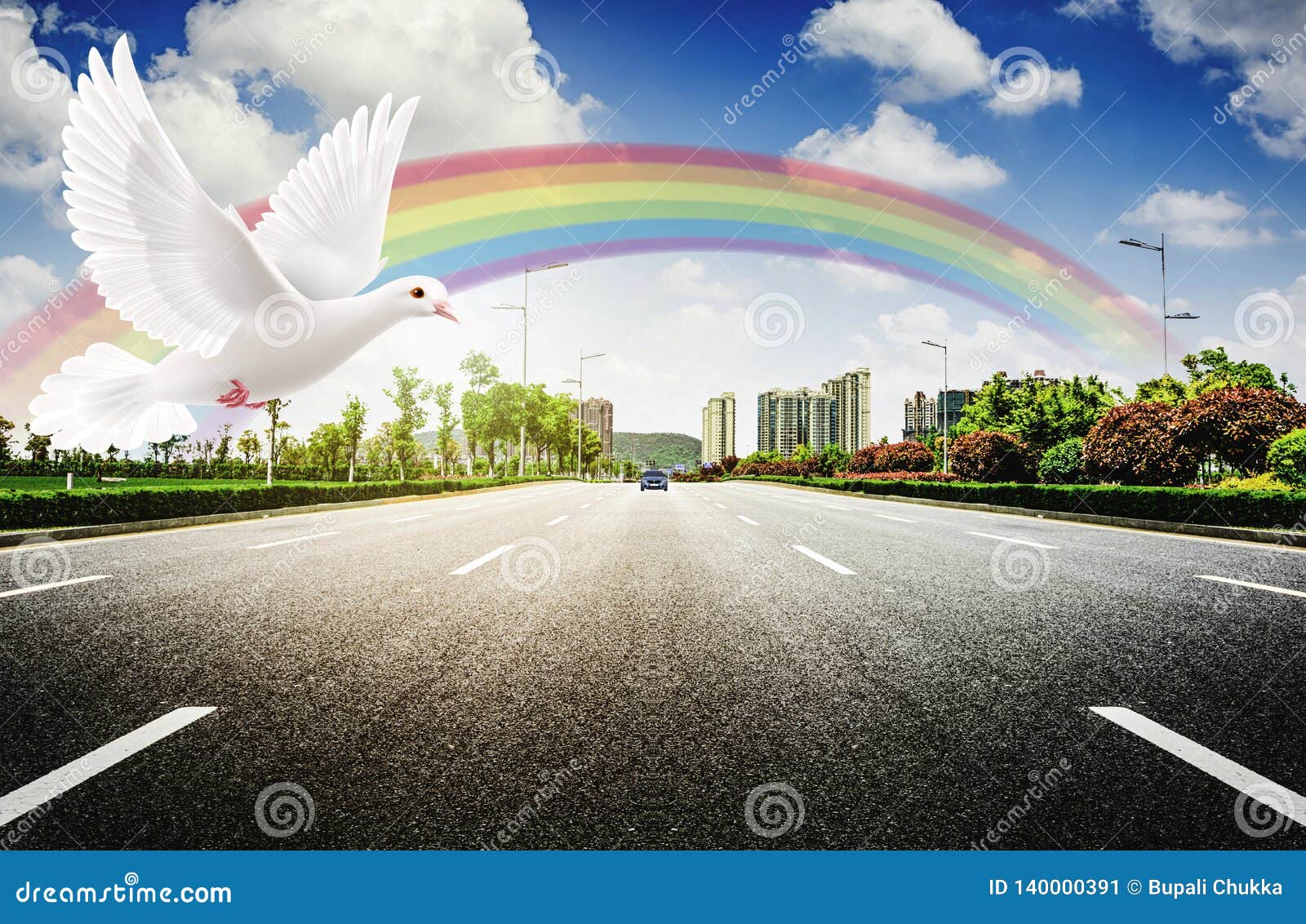 Rainbow Dove and Modern City Road Stock Image - Image of flying, white ...