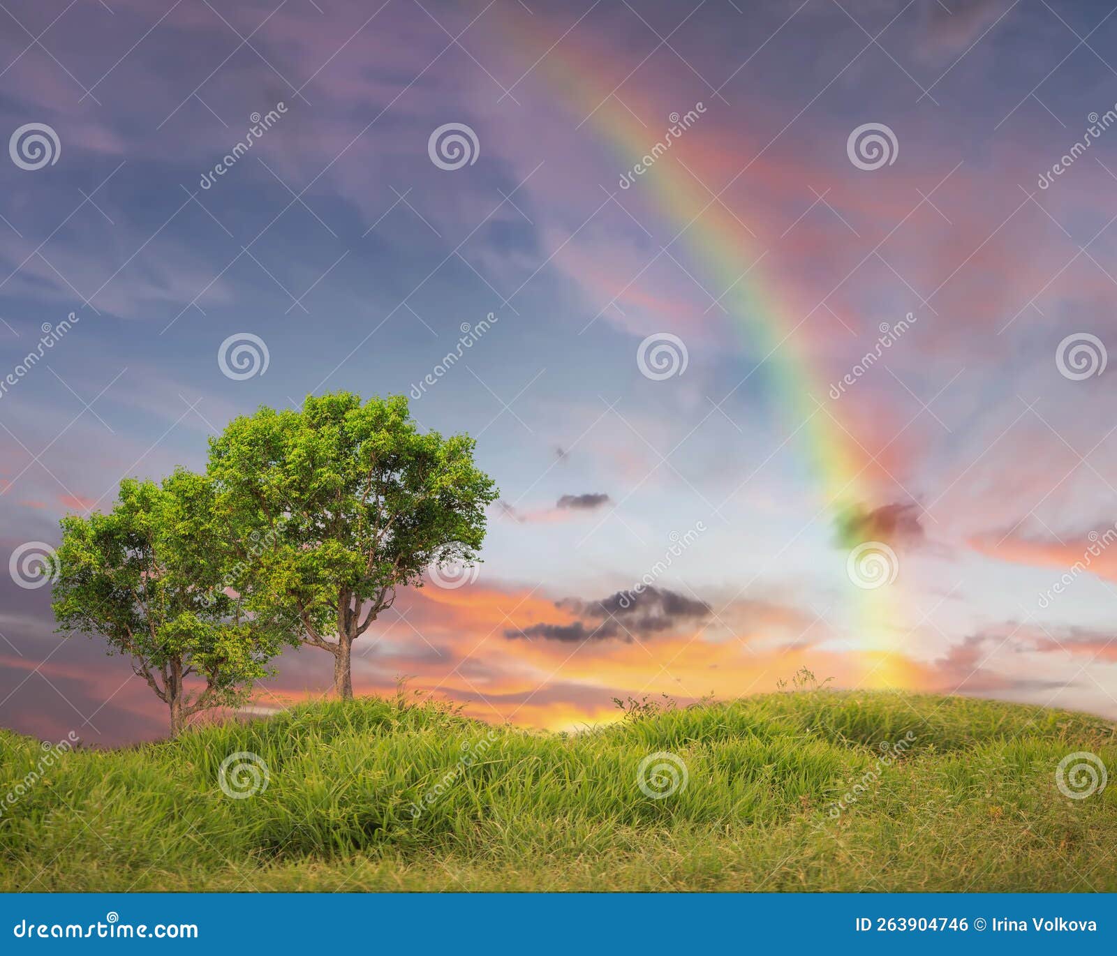 Rainbow on Dramatic Sunset Sky Green Field and Trees Nature Landscape ...