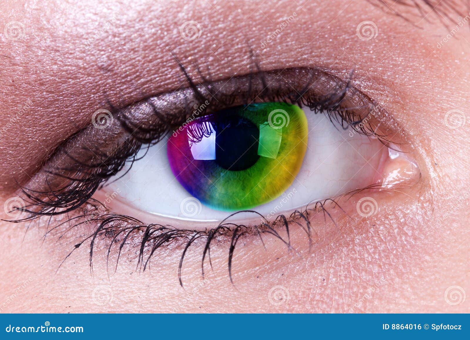 Rainbow eye stock photo. Image of detailed, beauty, orange - 8864016