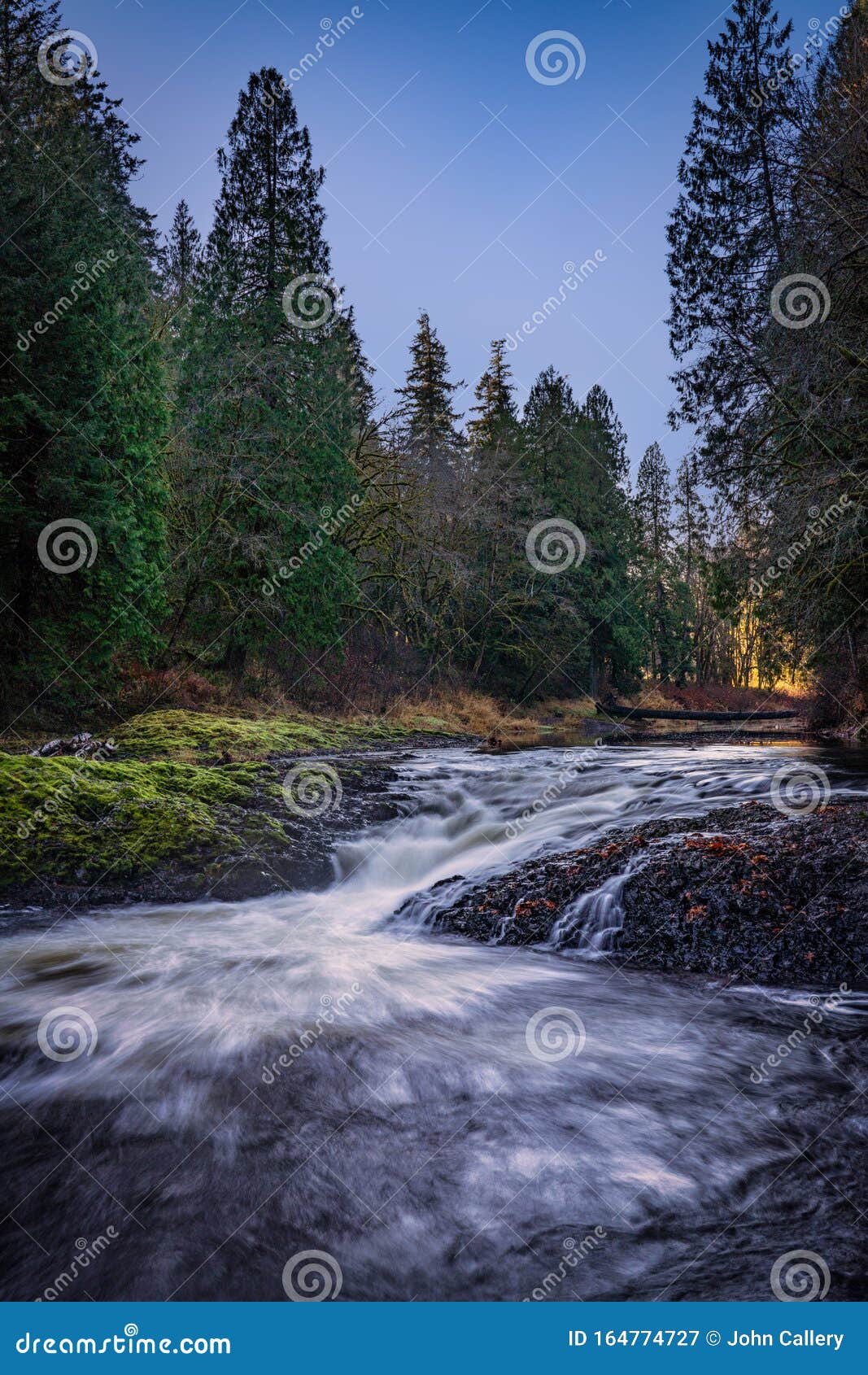 Rainbow Falls on the Chehalis River Stock Image - Image of autumn ...