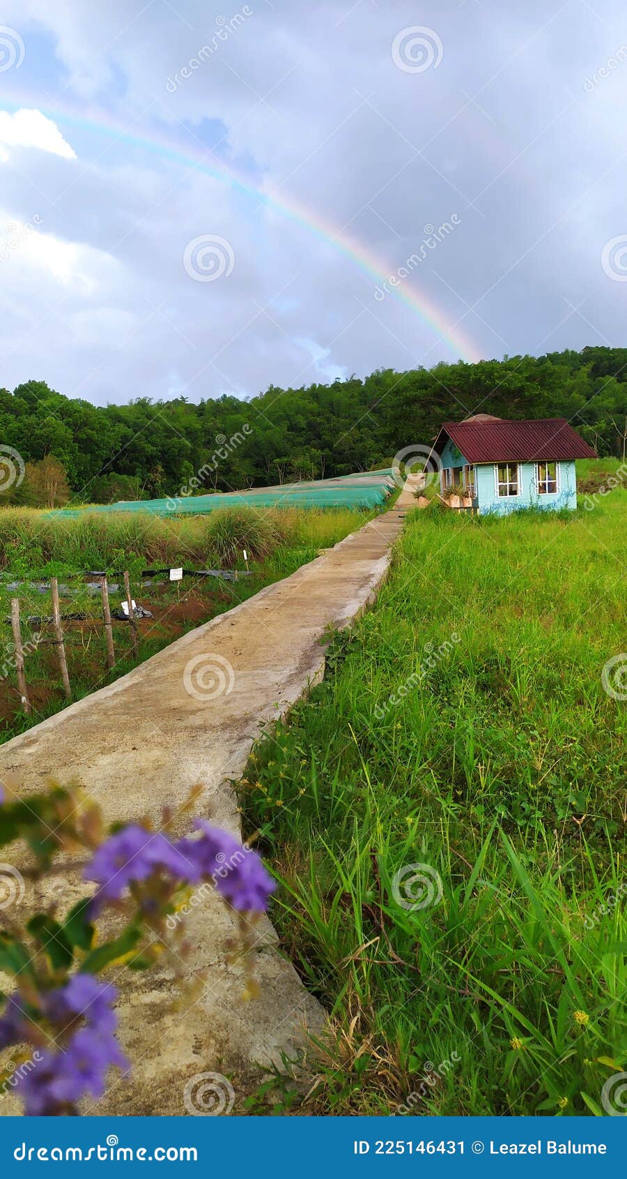 Rainbow in the farm stock image. Image of sunlight, autumn - 225146431