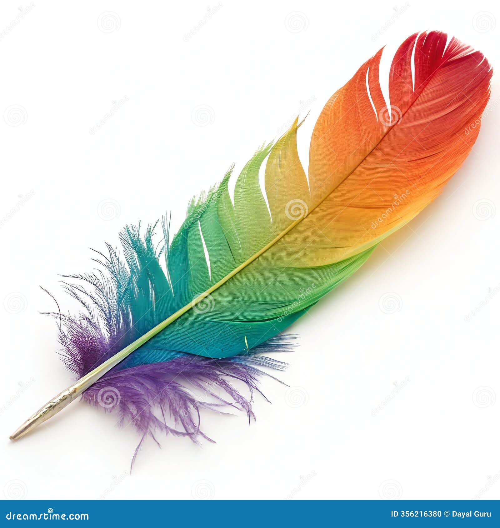 Rainbow Feather Isolated on White Background Stock Illustration ...