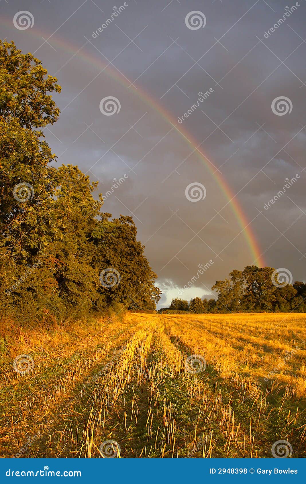 Rainbow from a Field stock photo. Image of great, colors - 2948398