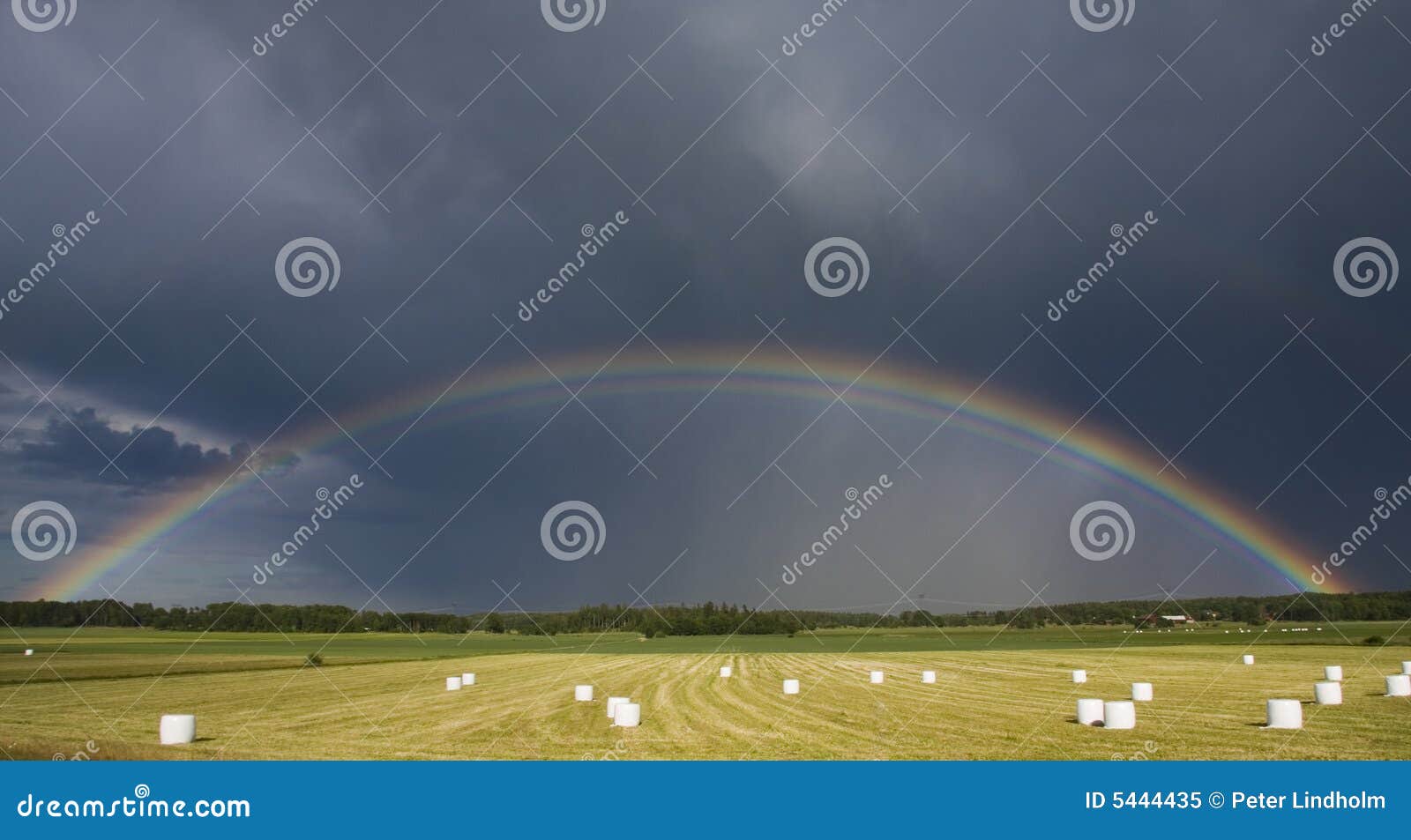 Rainbow in Field stock image. Image of stormy, colors - 5444435