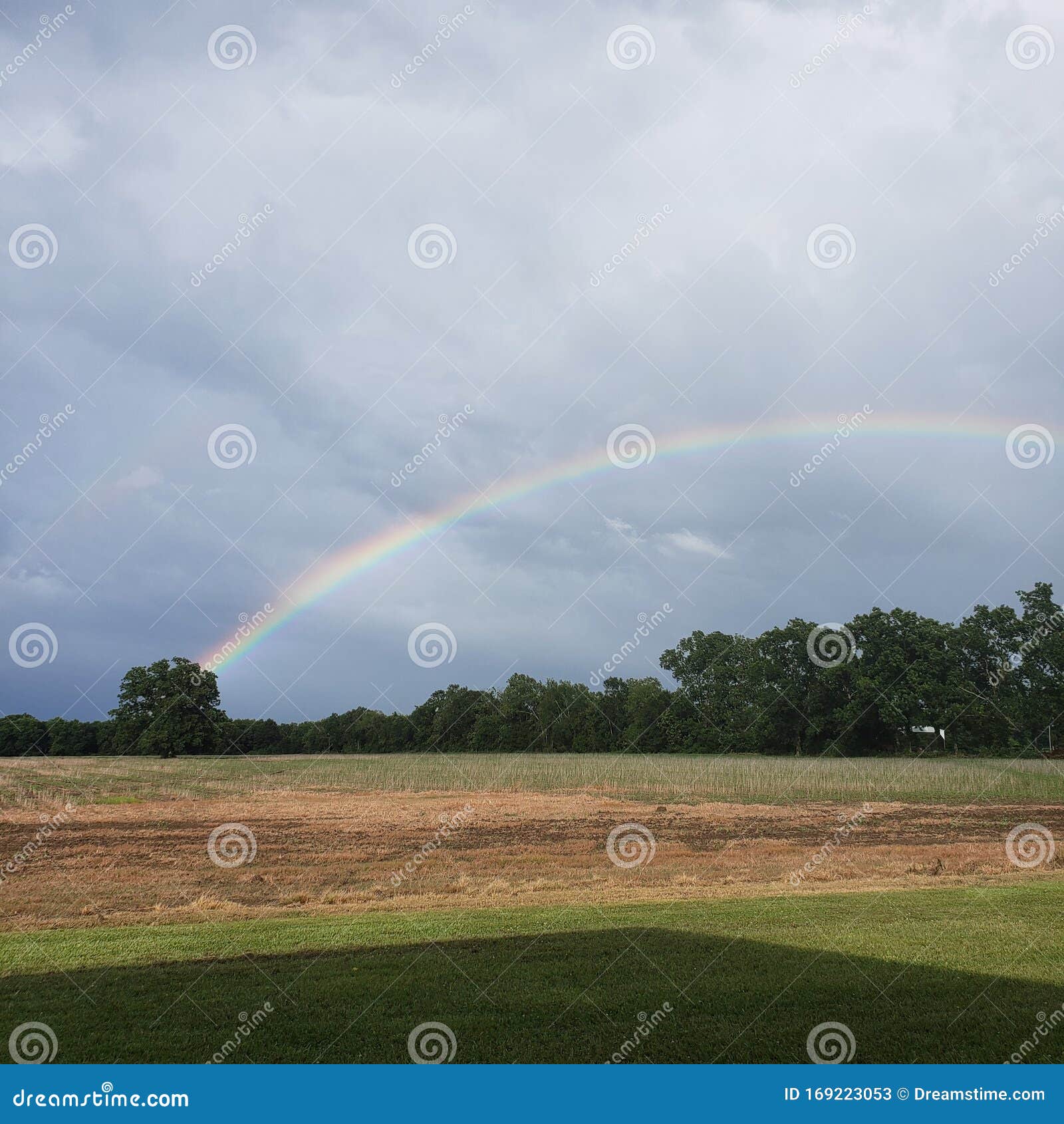Rainbow Field Rain Trees Sky Stock Image - Image of field, trees: 169223053