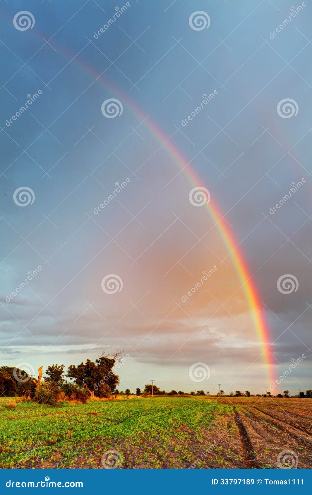 Rainbow on Field - Vertical Stock Image - Image of path, horizon: 33797189