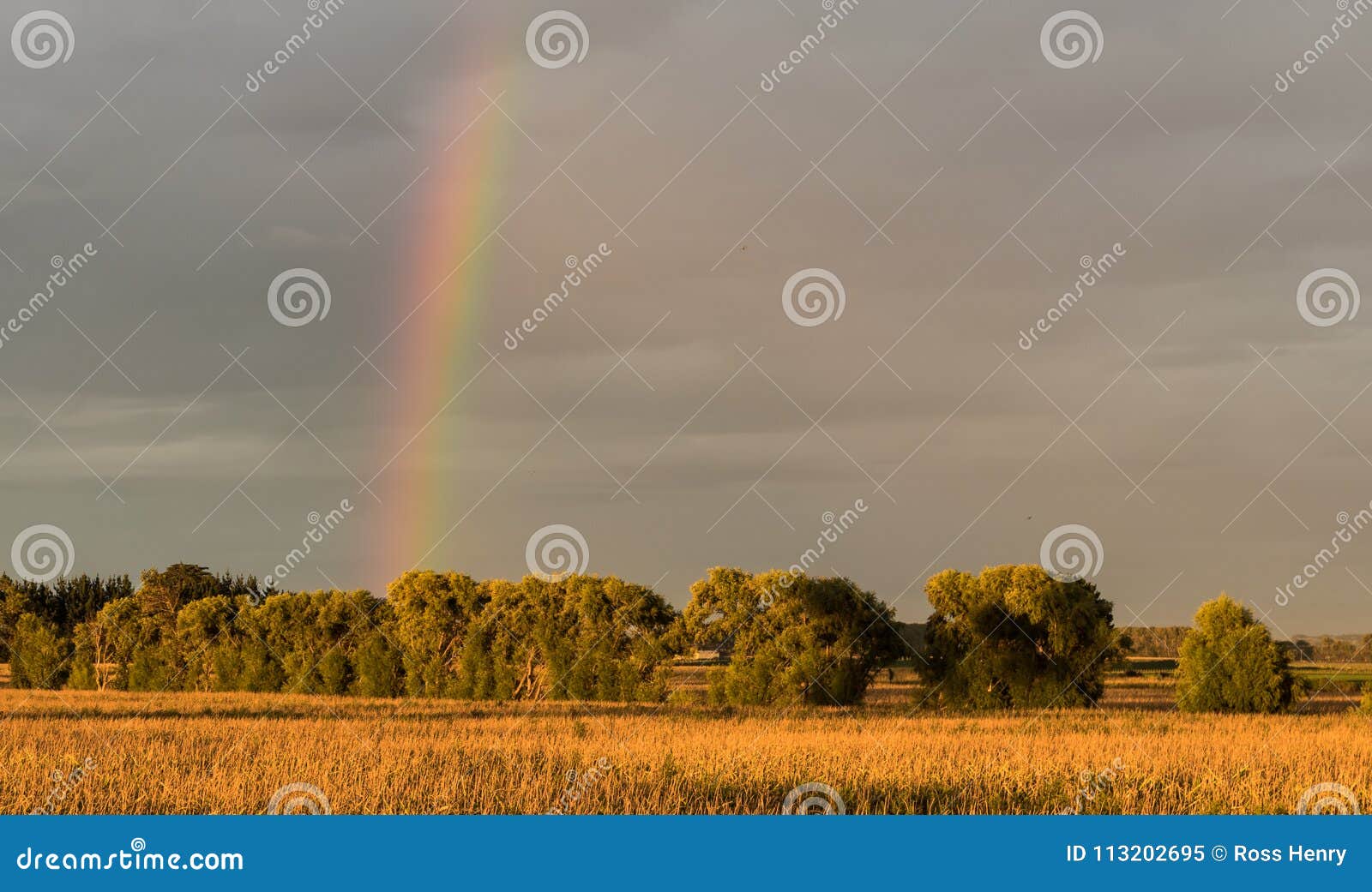 Rainbow Fields stock image. Image of agriculture, nature - 113202695