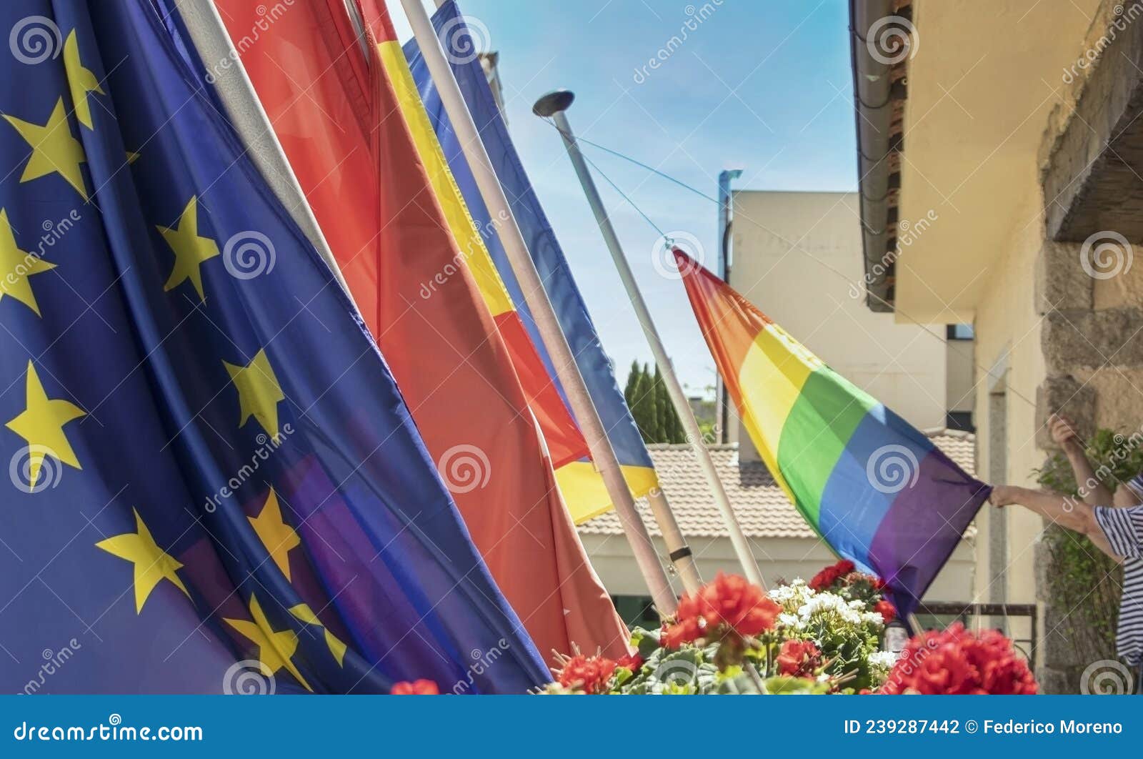 Rainbow Flag Raising Together with Other Official Flags Stock Photo ...