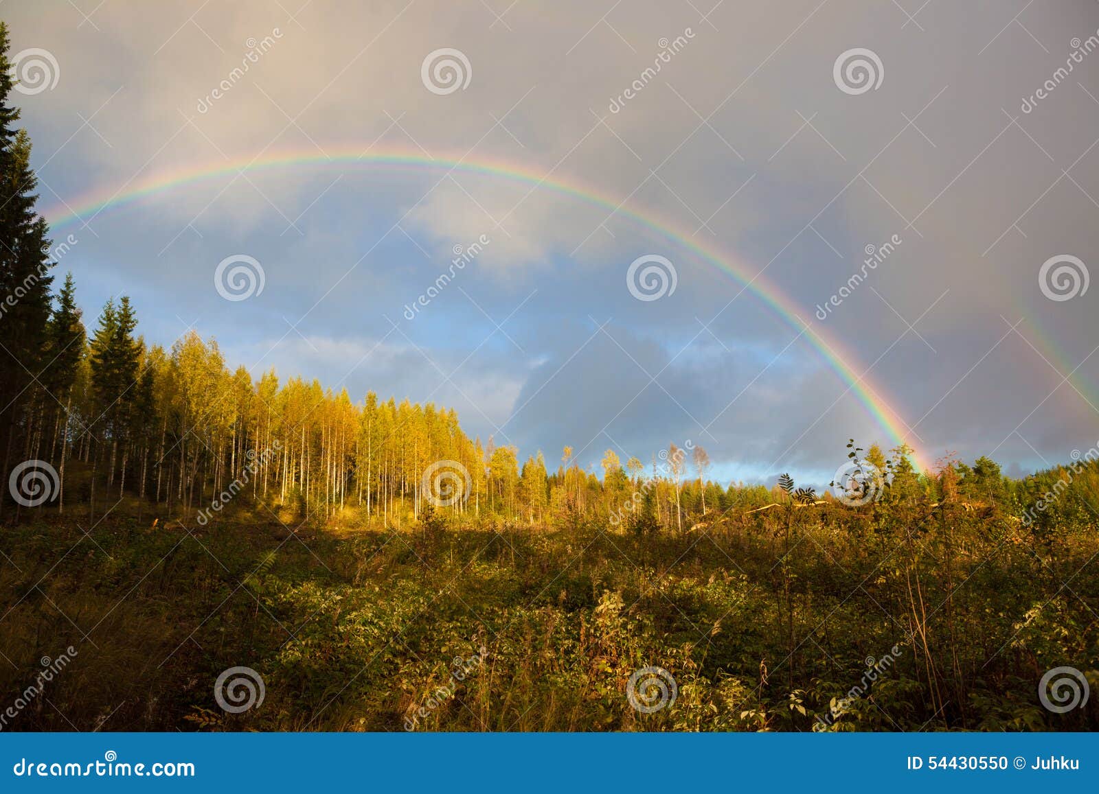 Rainbow and Forest Landscape Stock Photo - Image of colorful, season ...