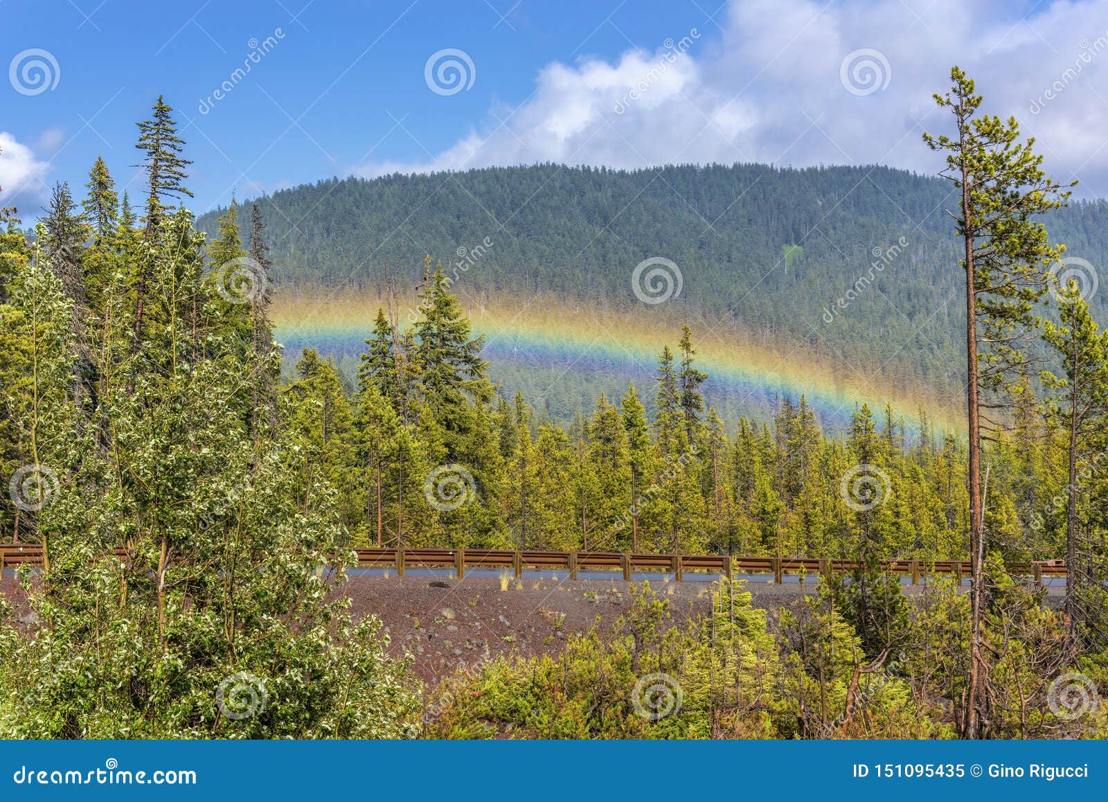 Rainbow in the Forest Oregon Wilderness Stock Image - Image of mountain ...