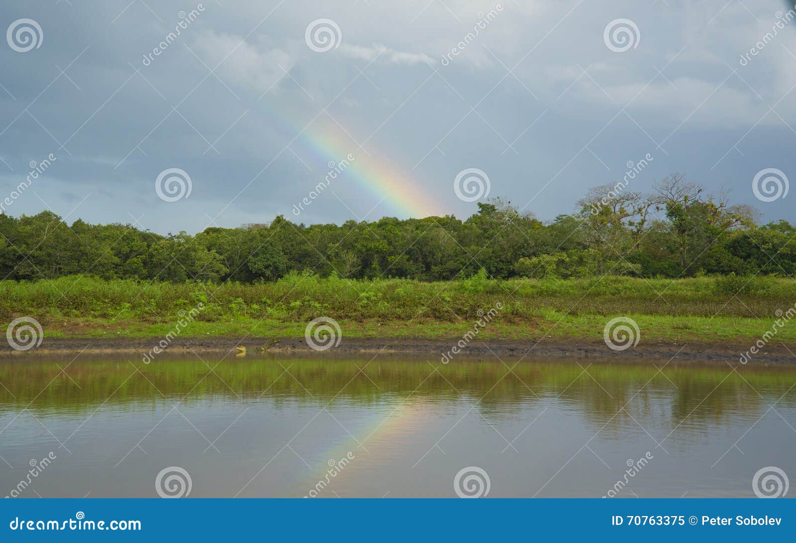 Rainbow at Frio river stock image. Image of summer, nature - 70763375