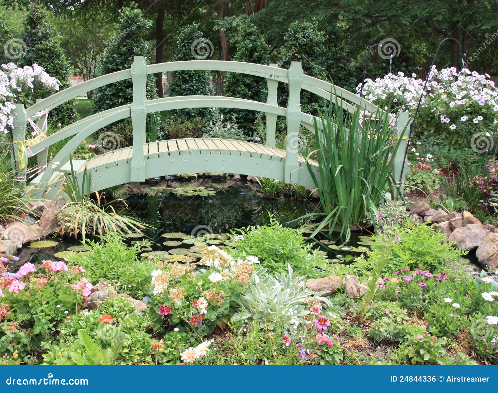 Rainbow Garden Bridge stock photo. Image of garden, pads - 24844336
