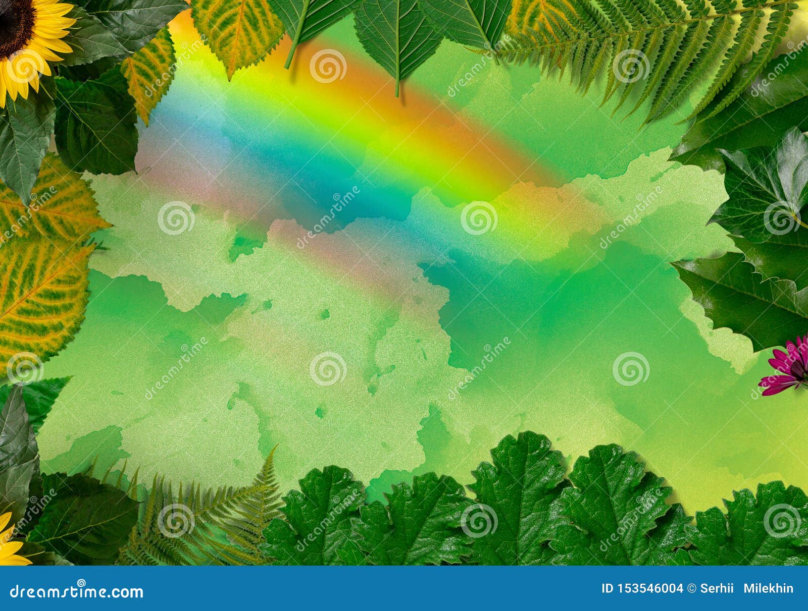 Rainbow and Green Leaves on Water Color Background with Copy Space ...
