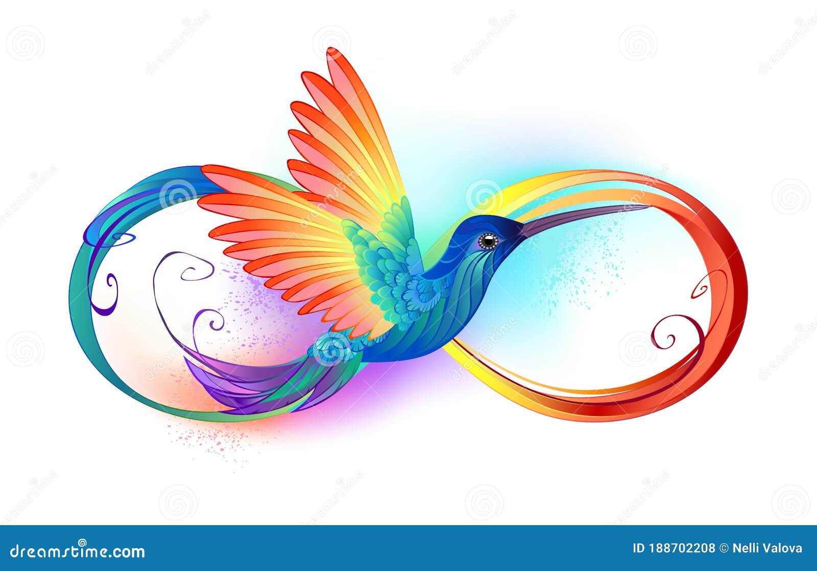 Rainbow Hummingbird with Infinity on White Background Stock Vector ...