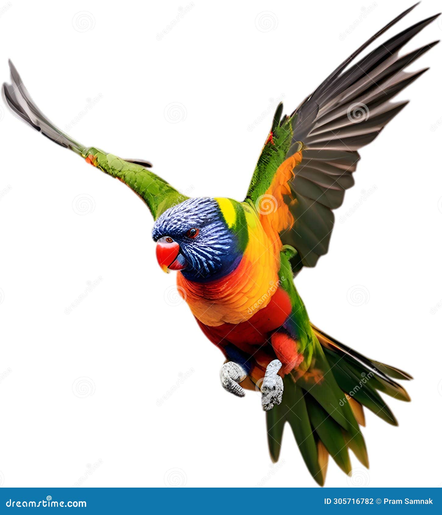 Rainbow Lorikeet Bird. Bird Clipart AI-generated. Stock Illustration ...