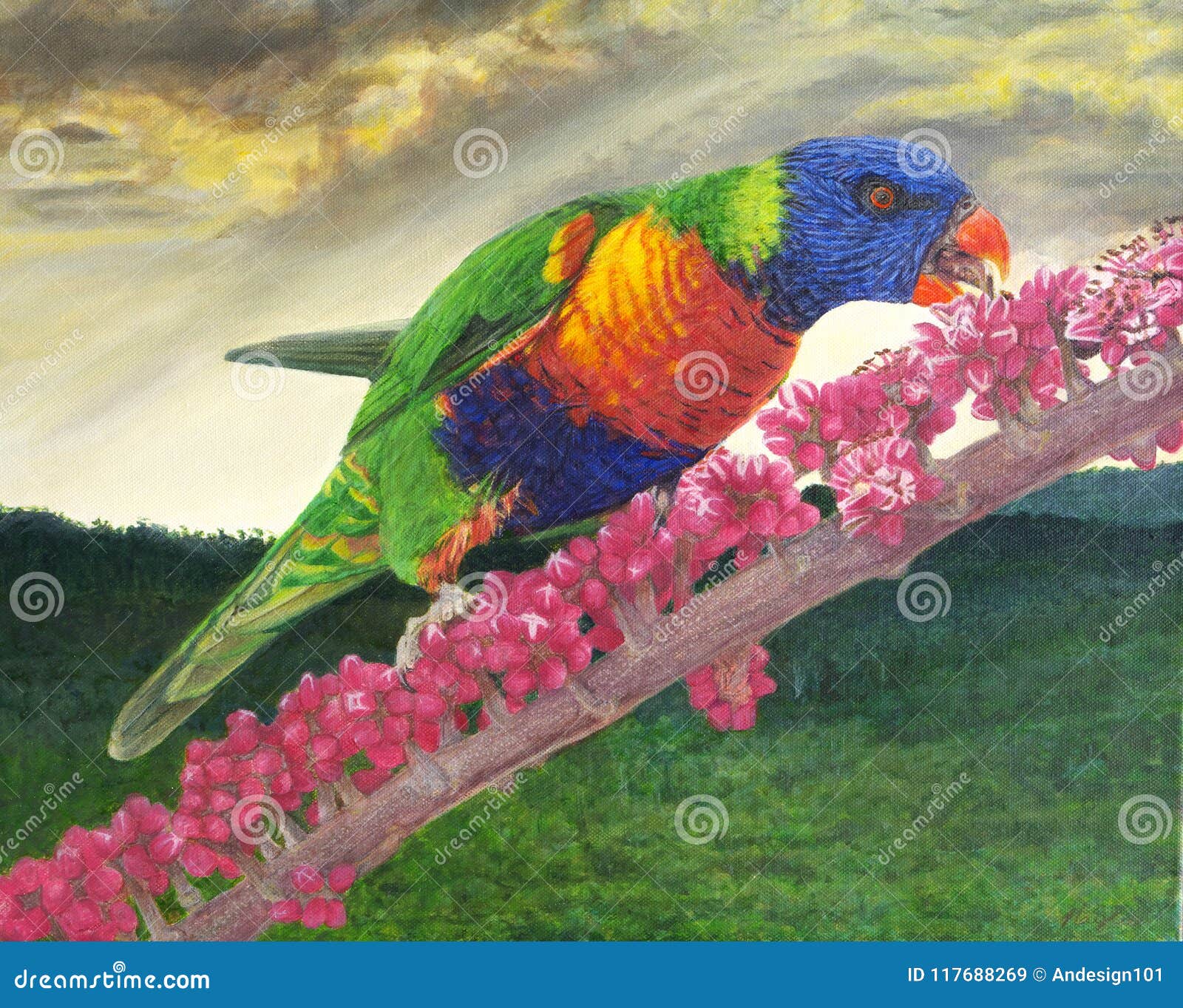 Rainbow lorikeet painting stock image. Image of artwork - 117688269
