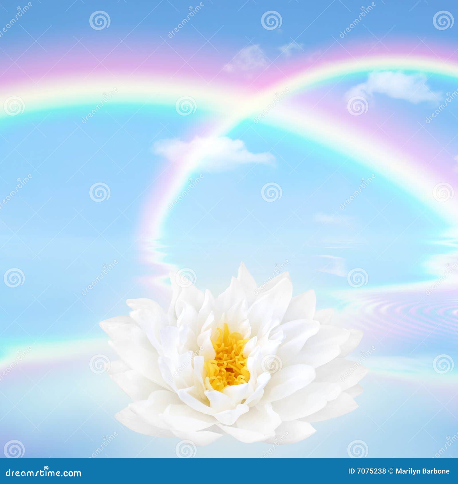 Rainbow and Lotus Lily Flower Stock Photo - Image of fluid, climate ...