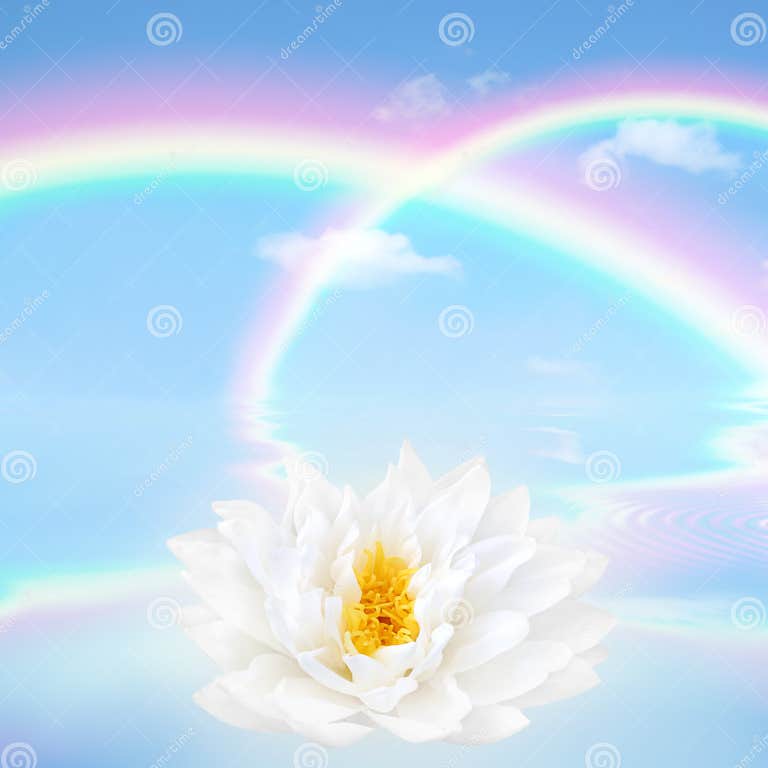 Rainbow and Lotus Lily Flower Stock Photo - Image of fluid, climate ...