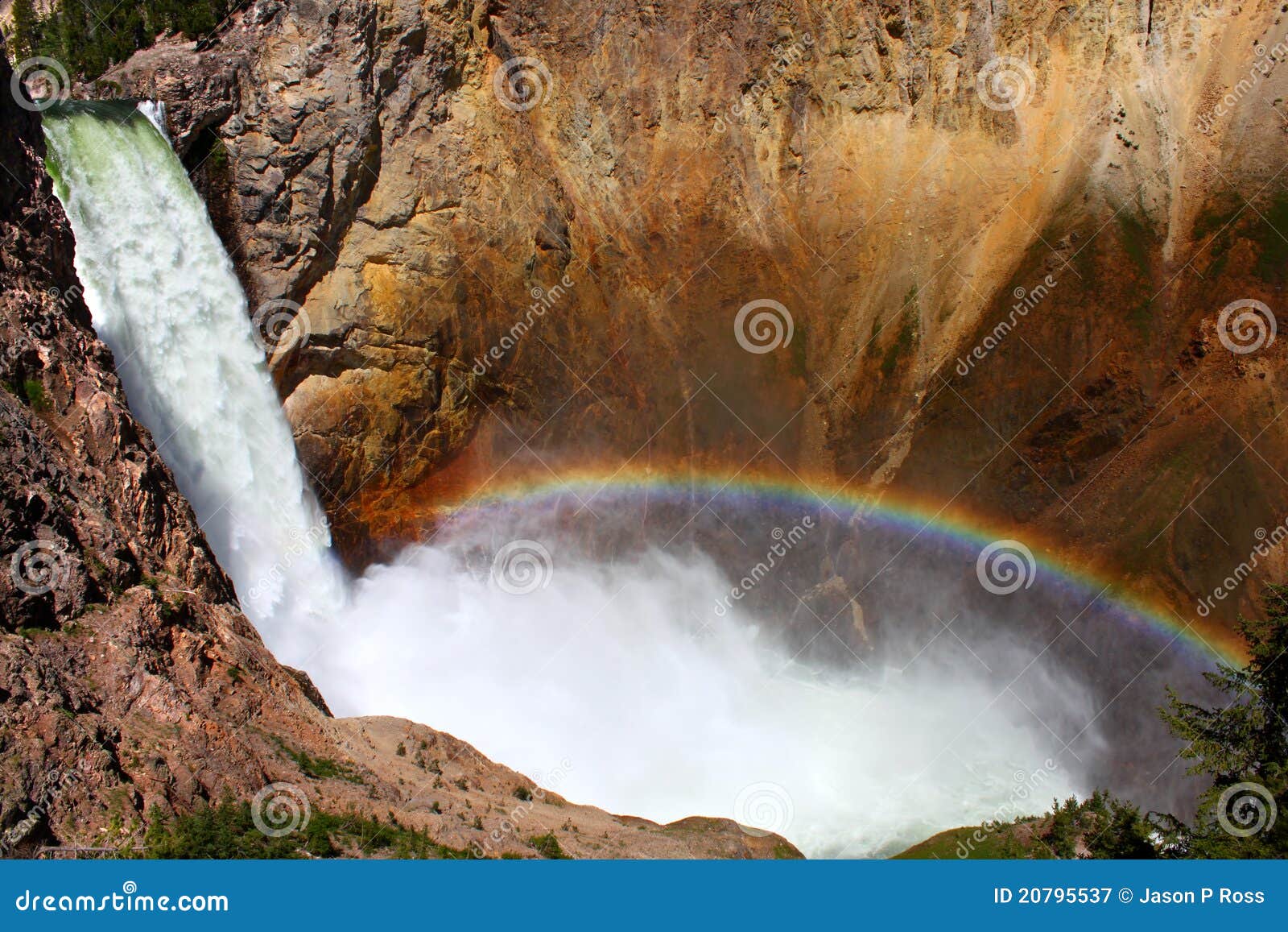 Rainbow at Lower Falls - Yellowstone Stock Image - Image of landscape ...