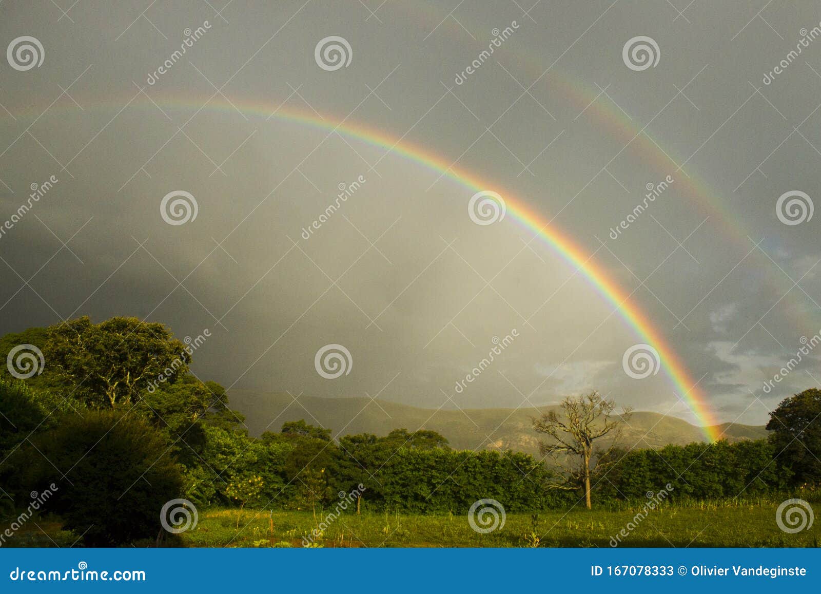 A Rainbow Is A Meteorological Phenomenon That Is Caused By Reflection ...
