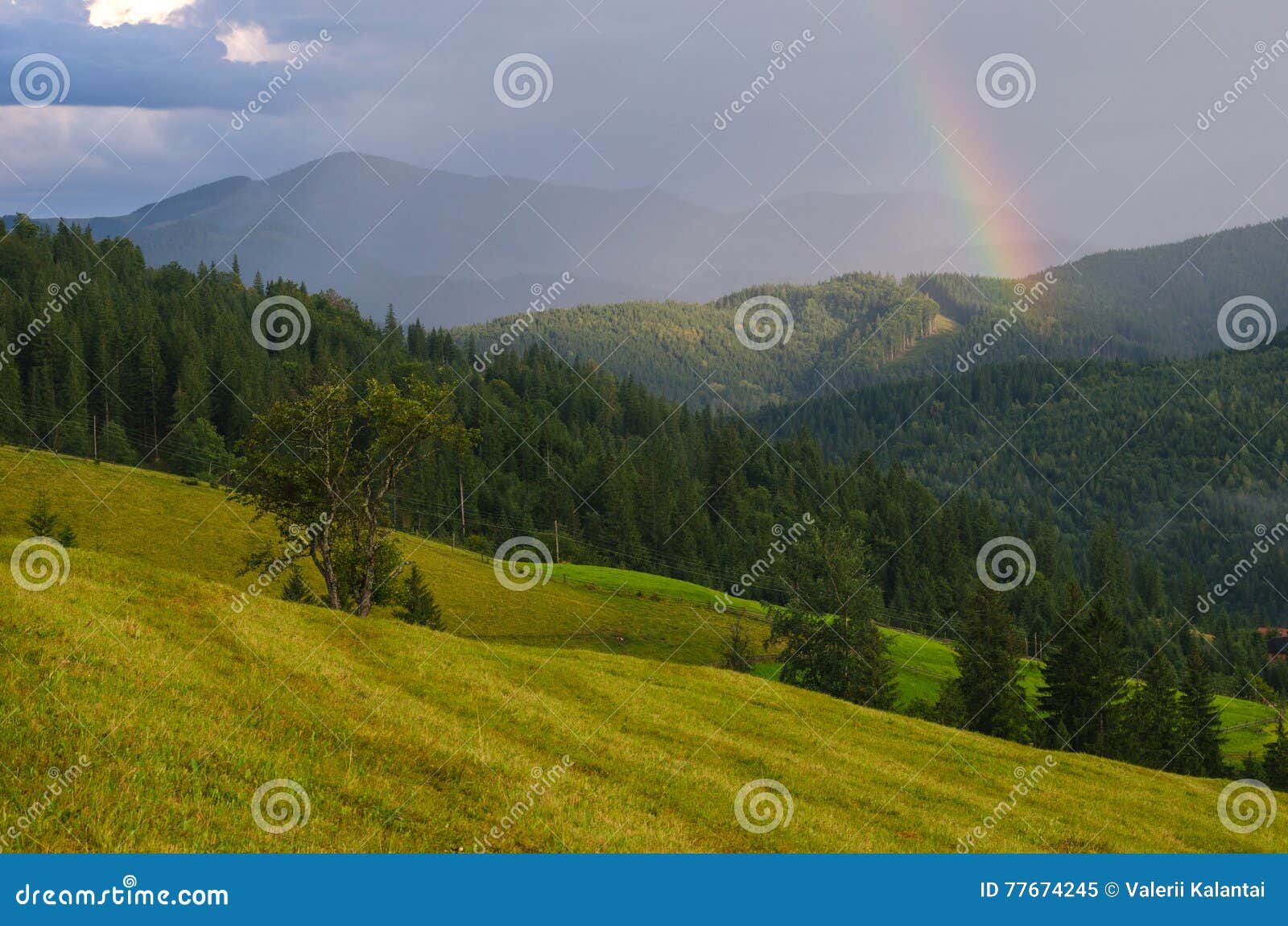 Rainbow in the Mountain Valley after Rain. Beautiful Landscape. Stock ...