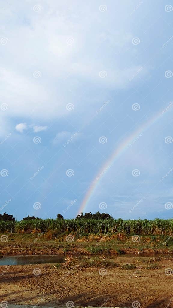 Rainbow Natural Phenomenon Solar Eclipse Water Tree Stock Photo - Image ...