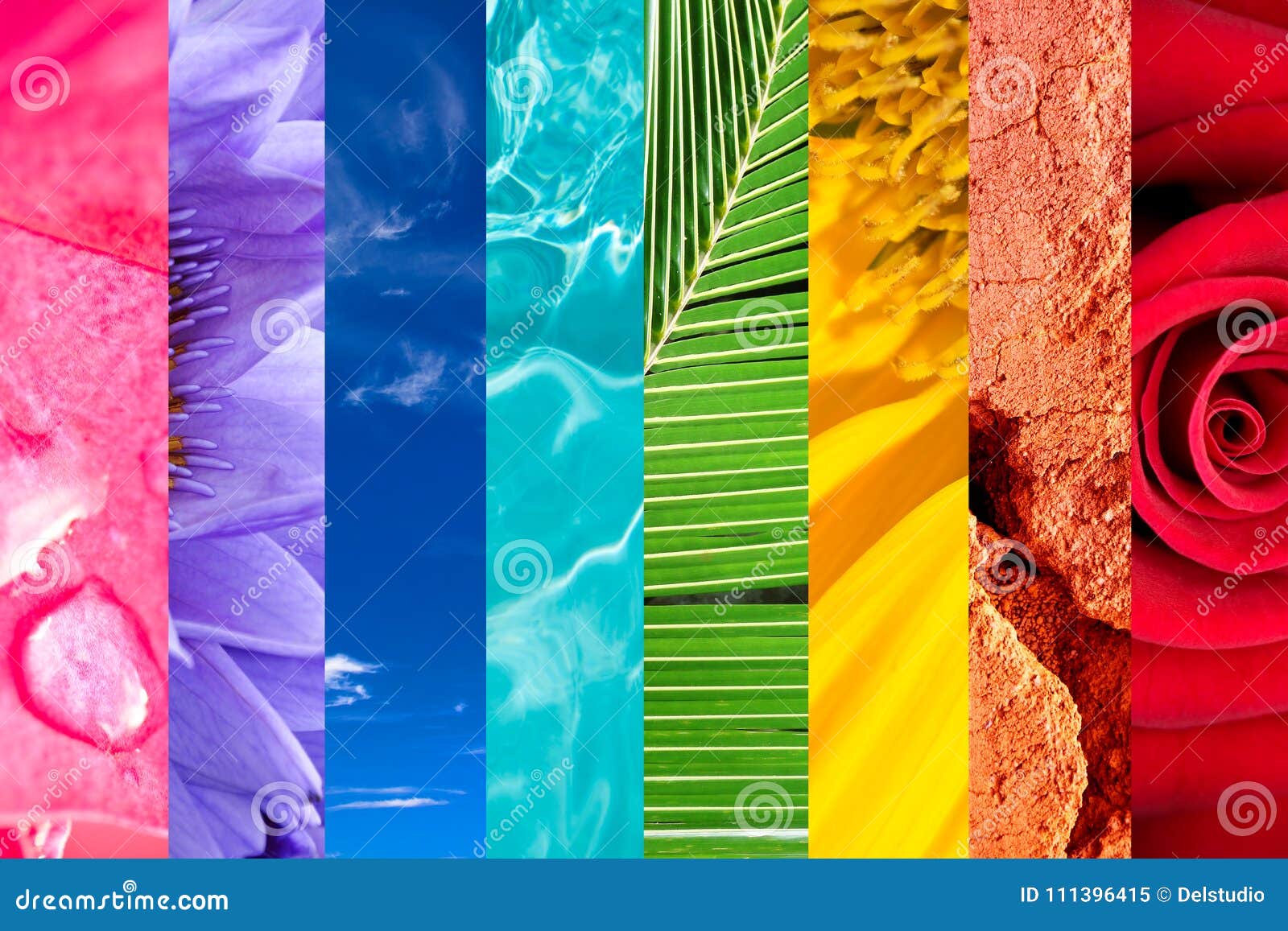 Rainbow of Nature, Colorful Nature Photo Collage, Vivid Colors Stock ... Rainbow of Nature, Colorful Nature Photo Collage, Vivid Colors Stock ...